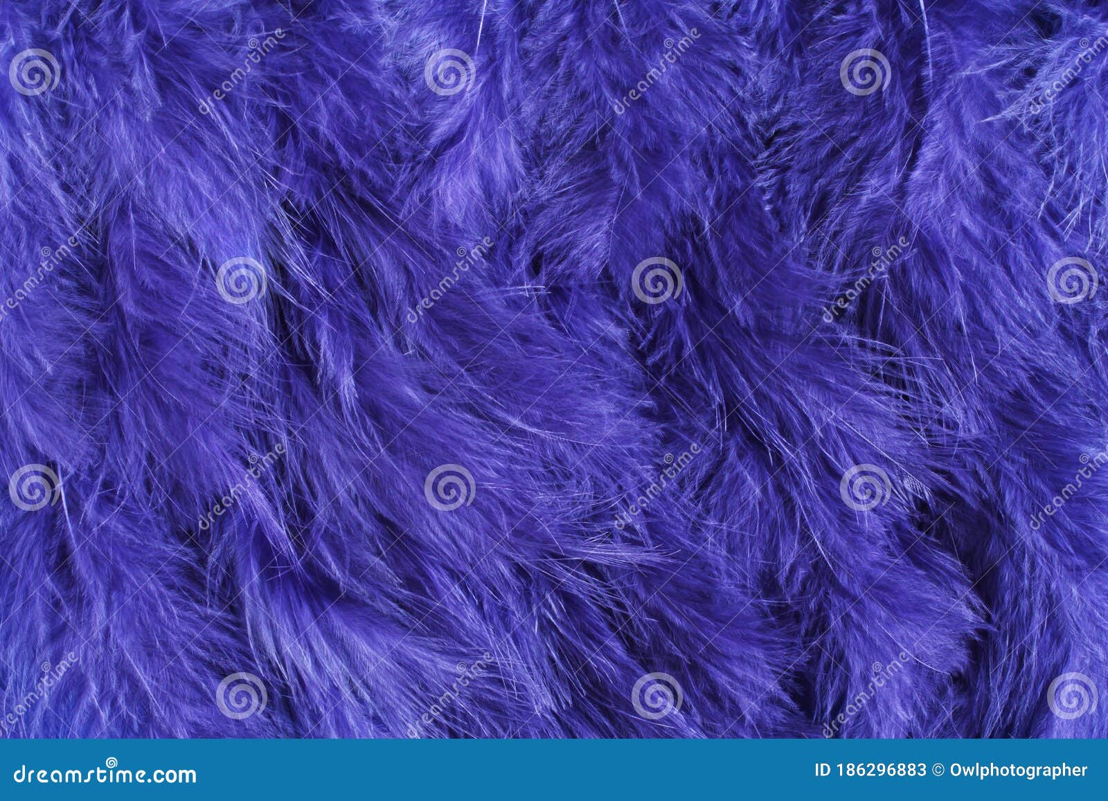 Background of Small Navy Blue Feathers Stock Image - Image of creation ...