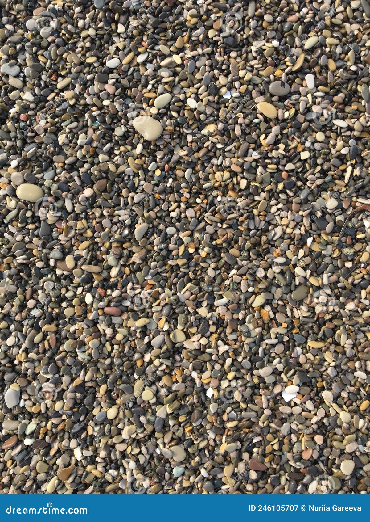 Background of Small Pebbles on the Beach Stock Image - Image of ground ...
