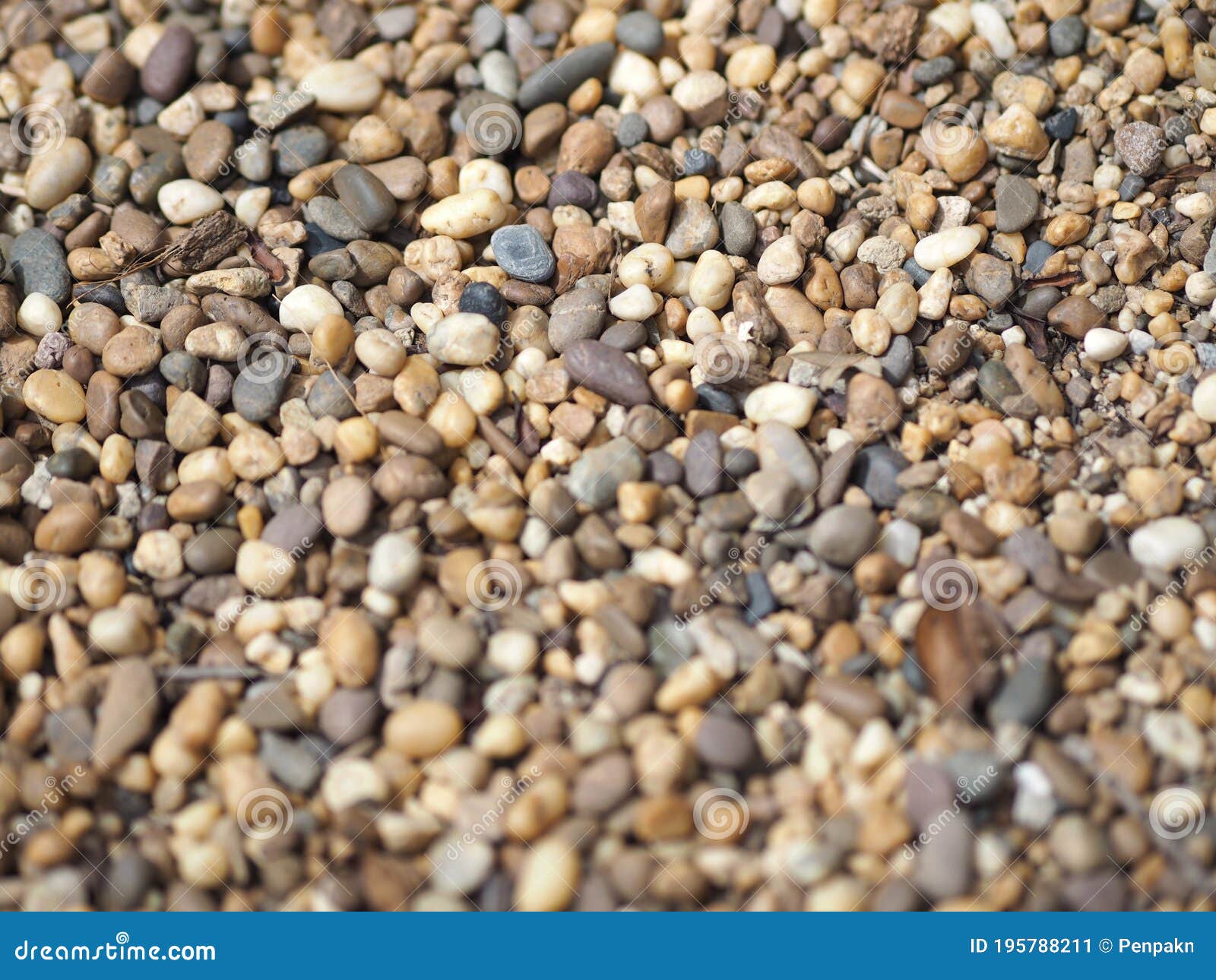 Background of Small Pebbles Round Sea Stones Texture Rocks Material ...