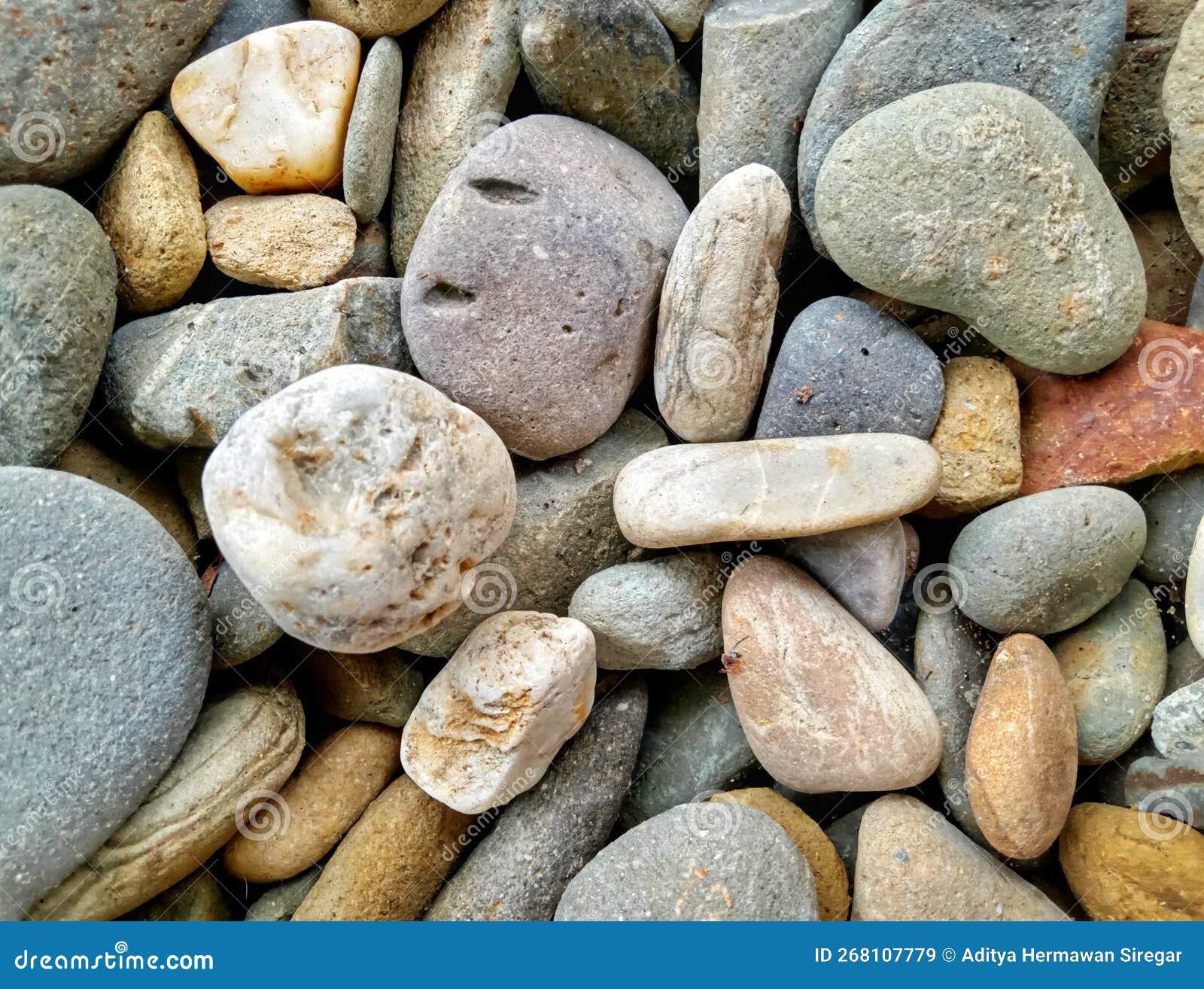 Background of Small Pebbles in the Yard Stock Image - Image of pebble ...