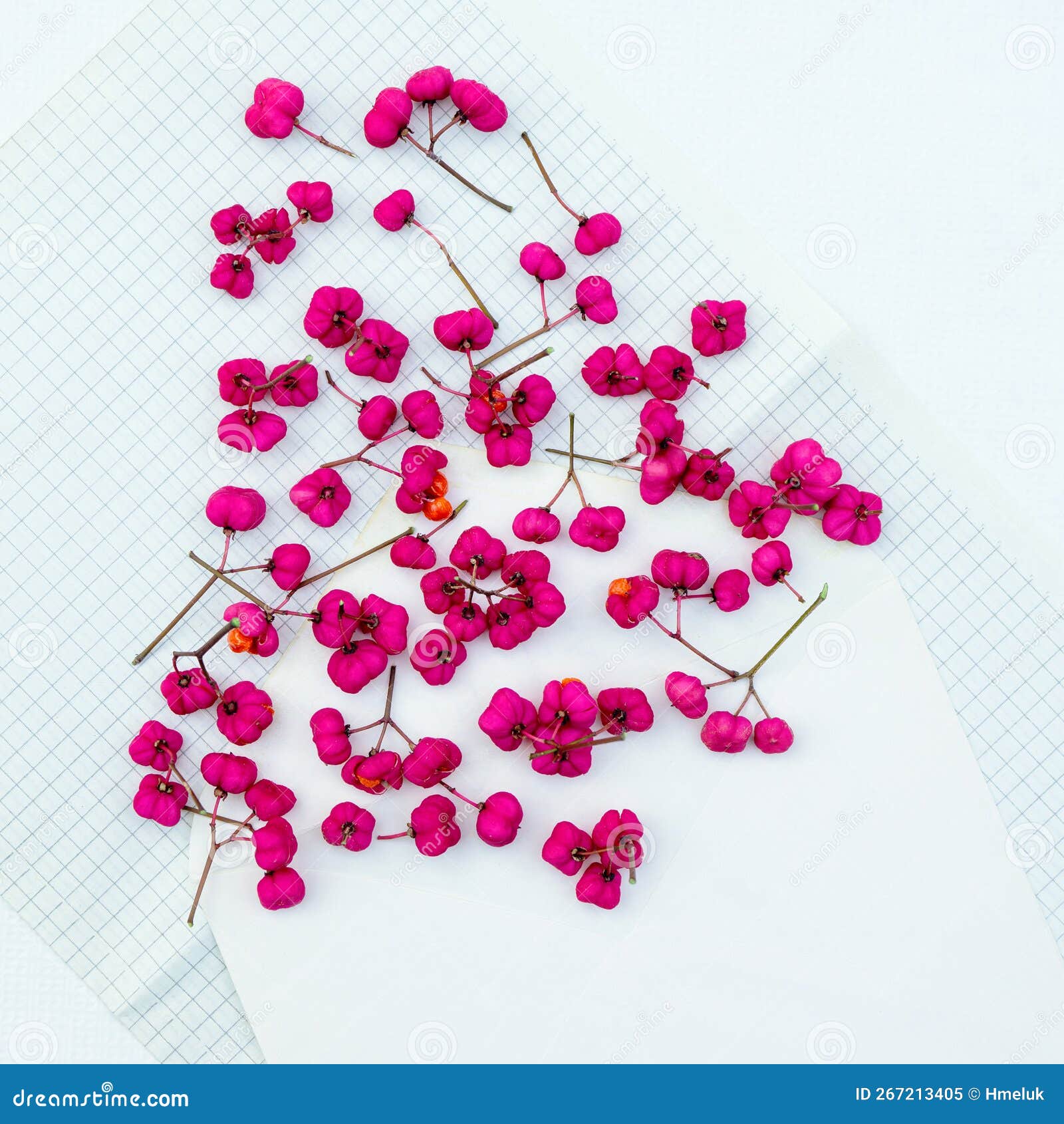 Background with Small Red Flowers Stock Image - Image of beautiful ...