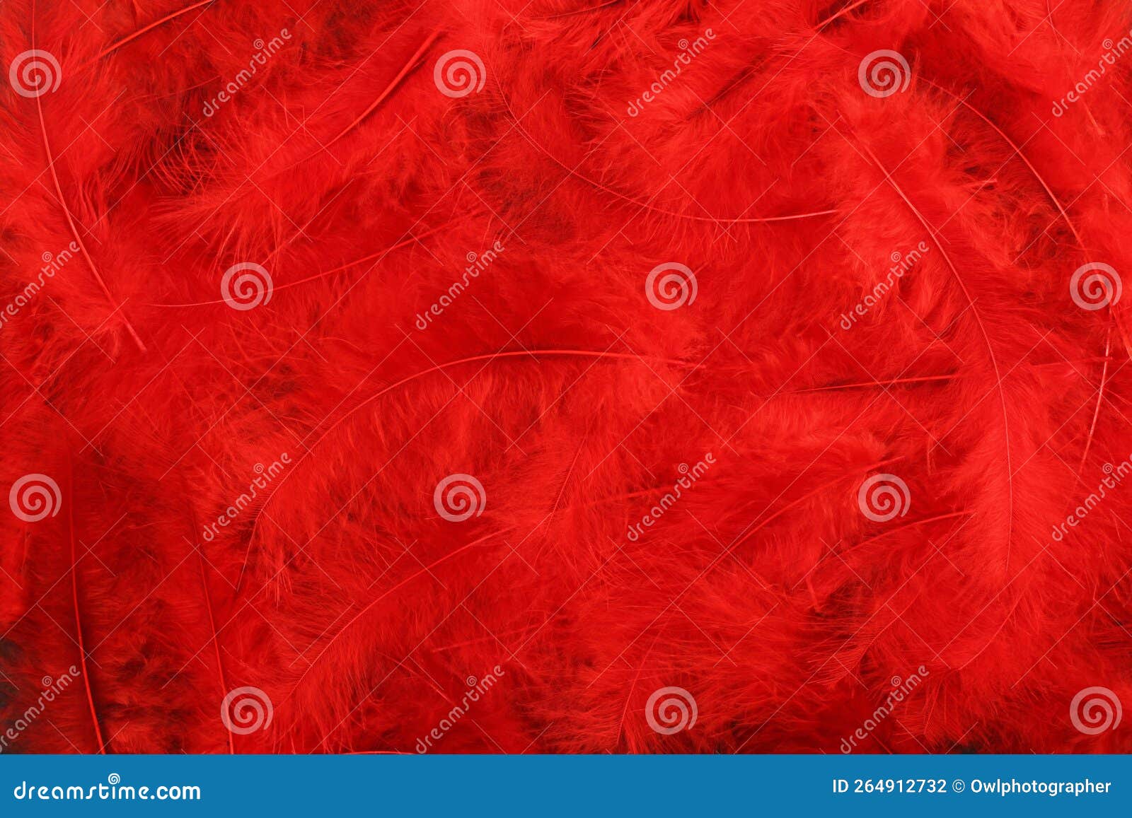 Background - Small Red Plumes Situated Irregularly Stock Photo - Image ...