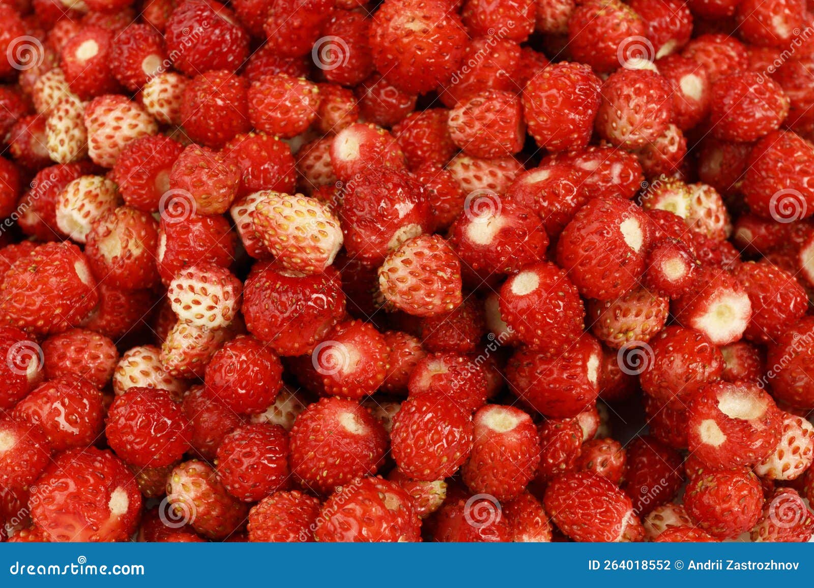 Background of Small Ripe Strawberries, Wild Berries Stock Photo - Image ...