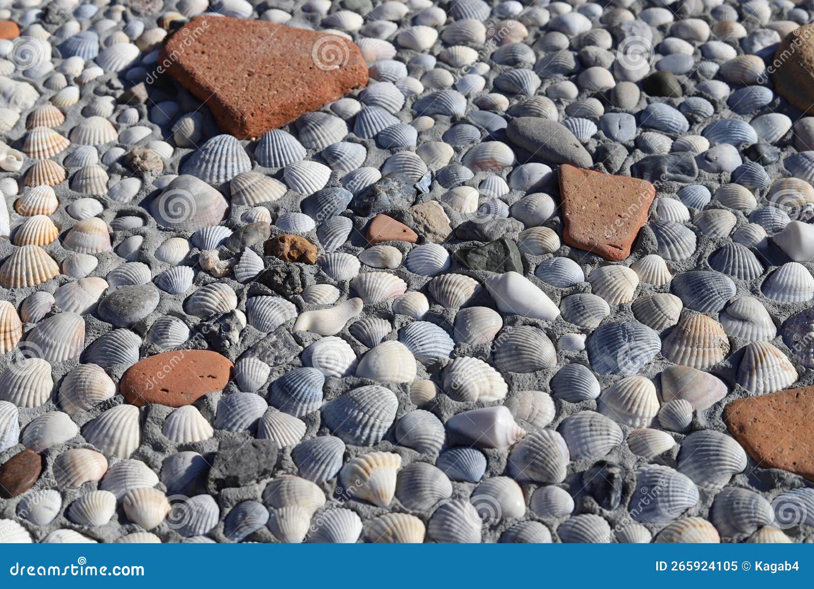 Background with Small Shells and Stones. Stock Image - Image of geology ...