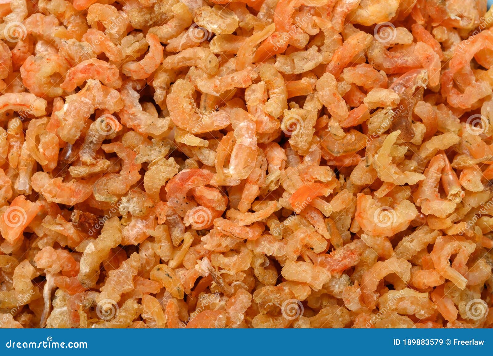 A Background of Small Size Dry Shrimps Stock Image - Image of little ...