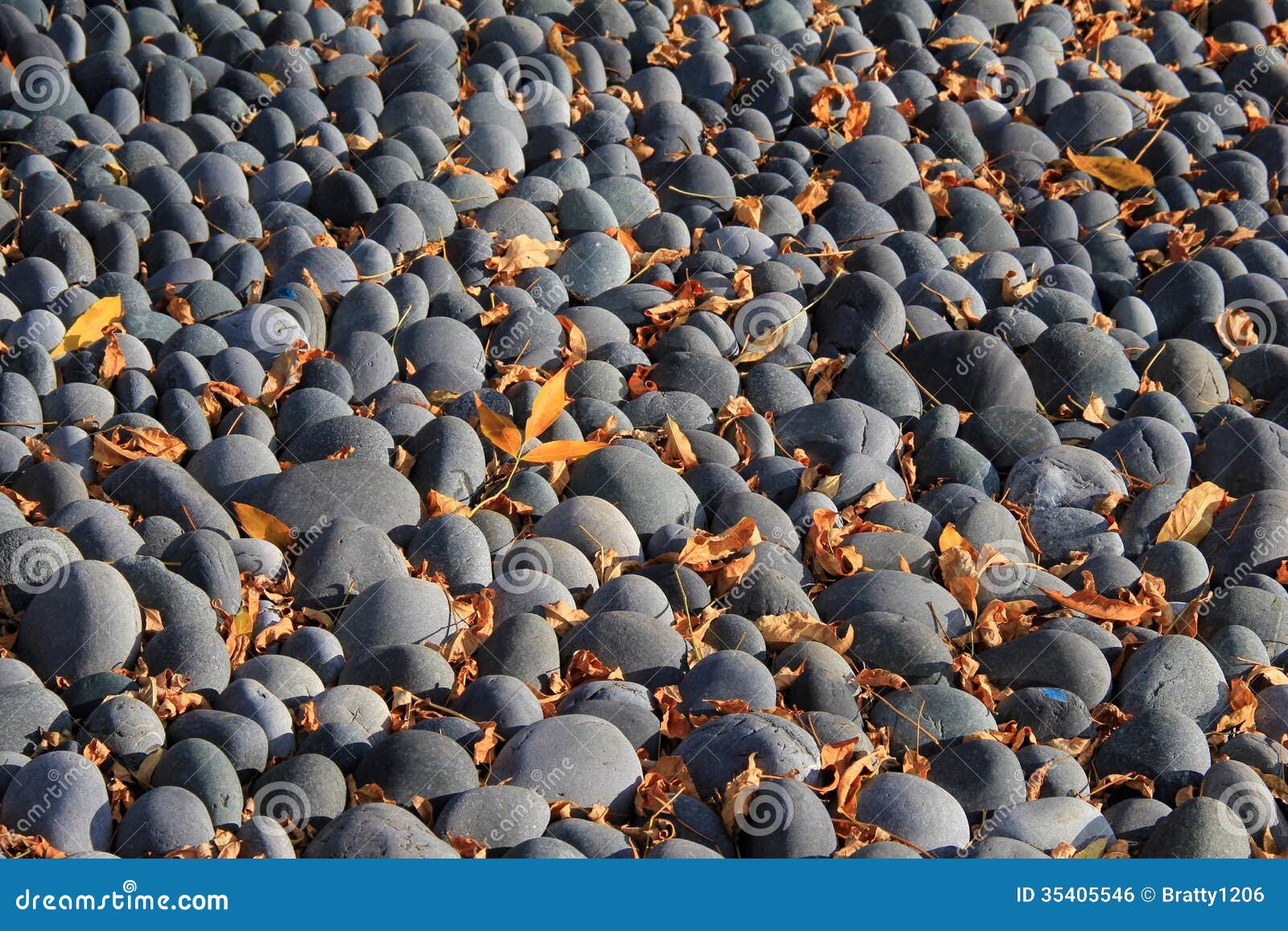 Background of Smooth Rocks and Fall Leaves Stock Photo - Image of ...