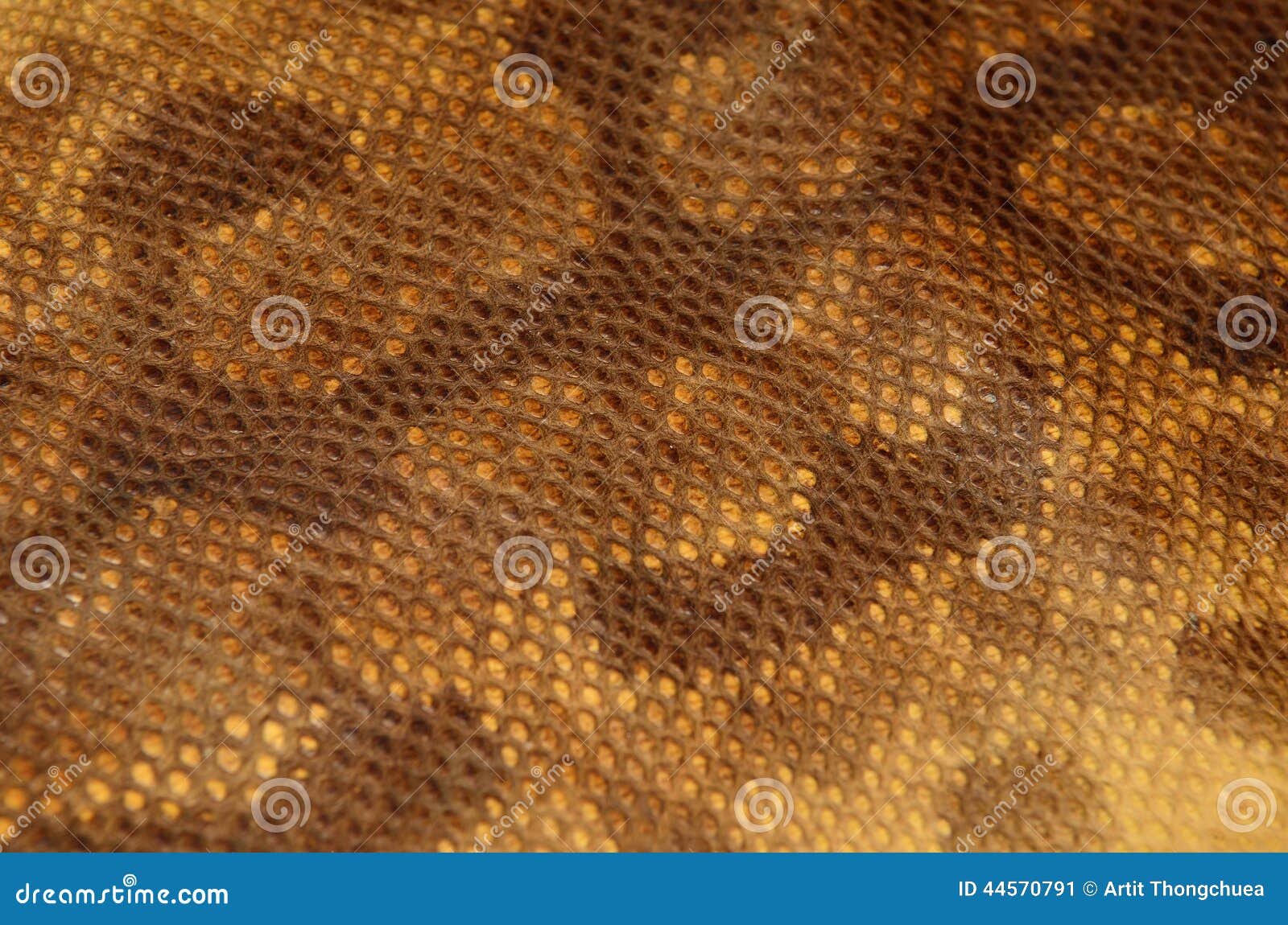 Background of Snake Skin Leather Texture Stock Image - Image of pattern ...