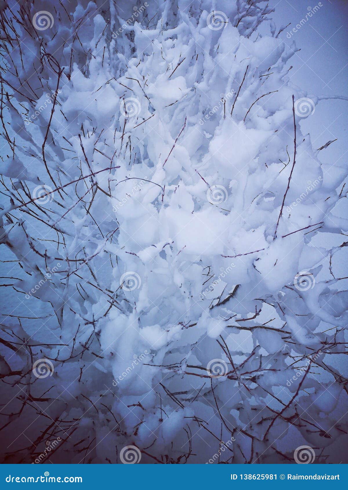 Background of Snowy Branches Stock Image - Image of white, trees: 138625981