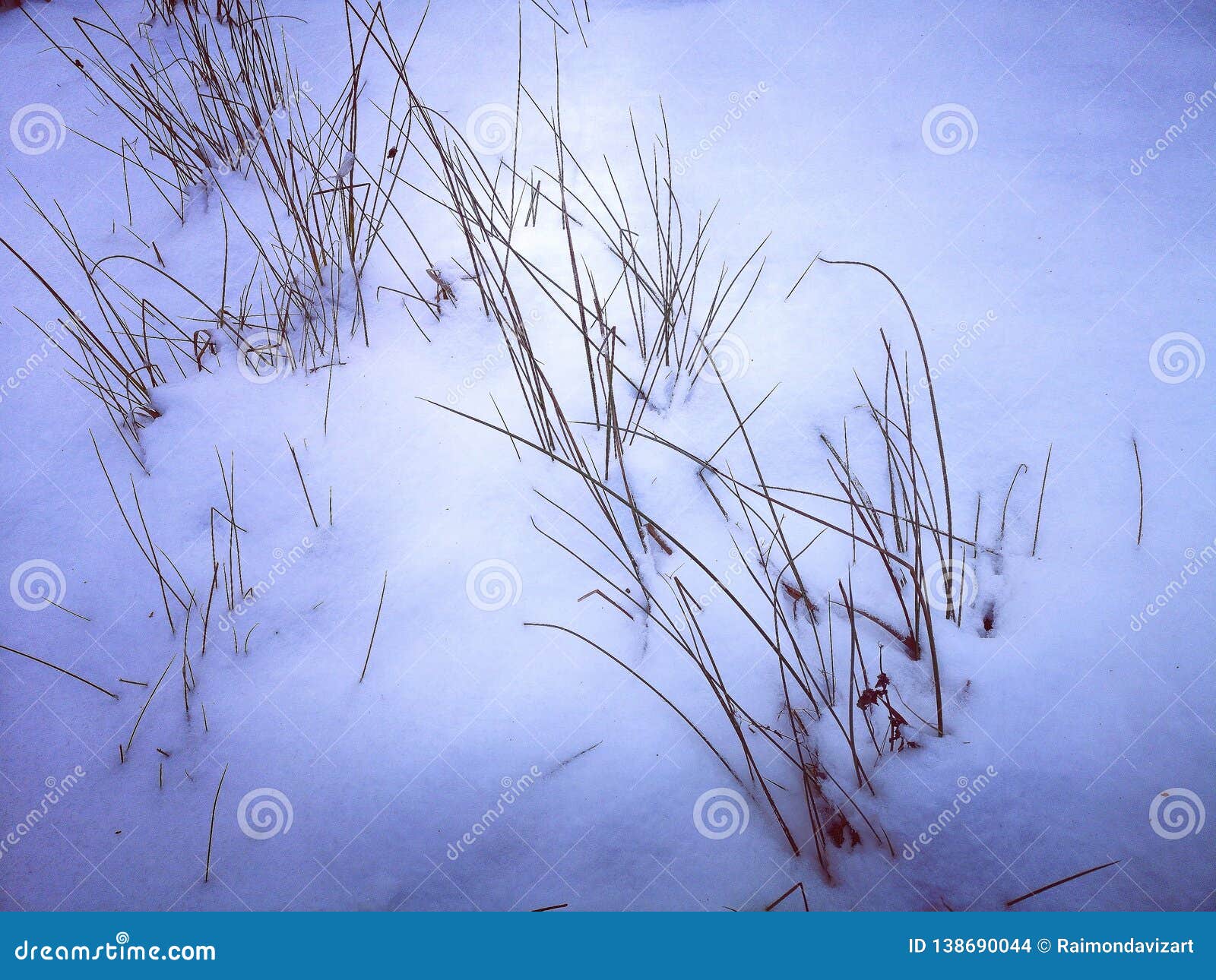 Background of Snowy Branches Stock Photo - Image of white, branches ...