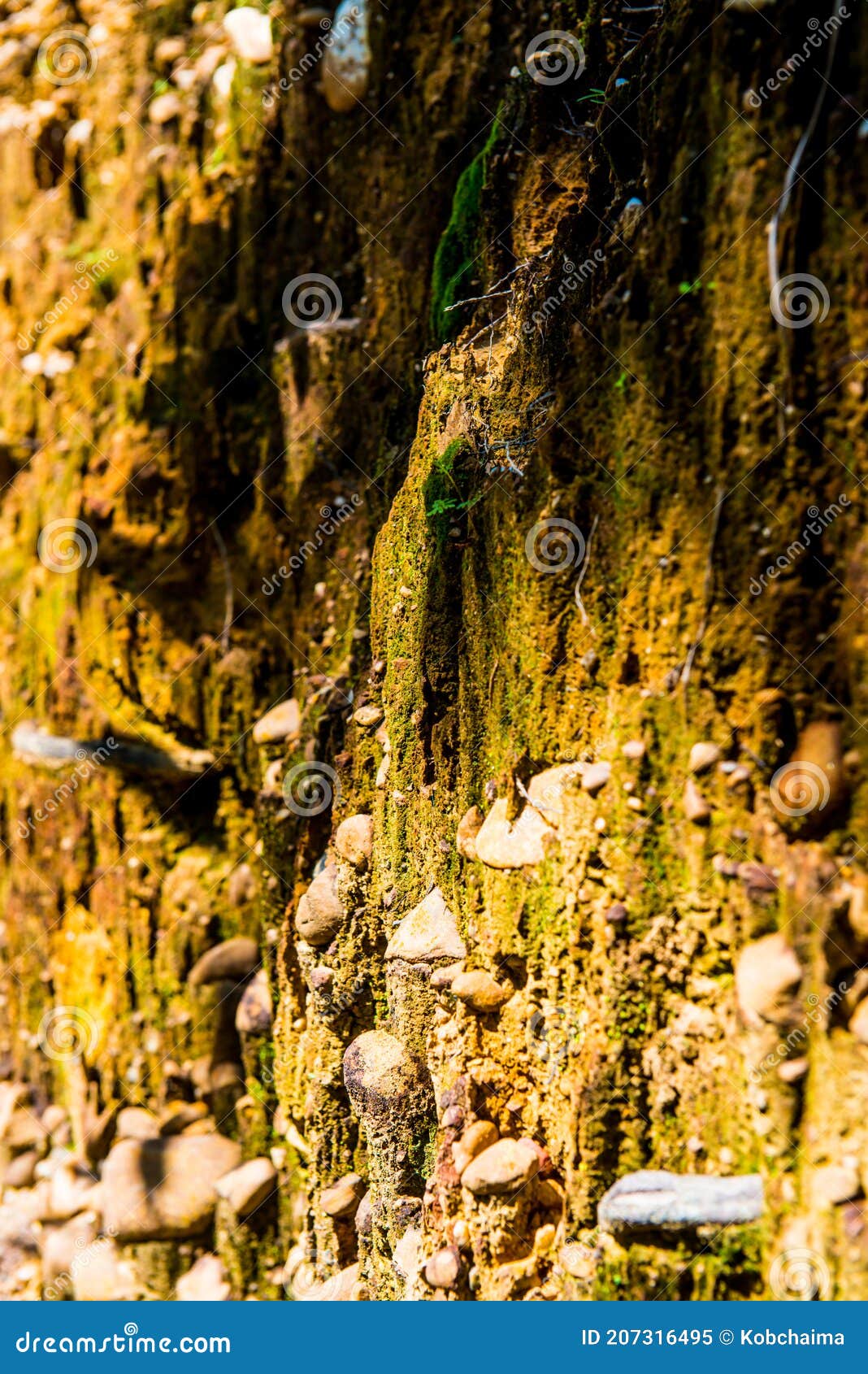 Background of soil layers stock image. Image of nature - 207316495
