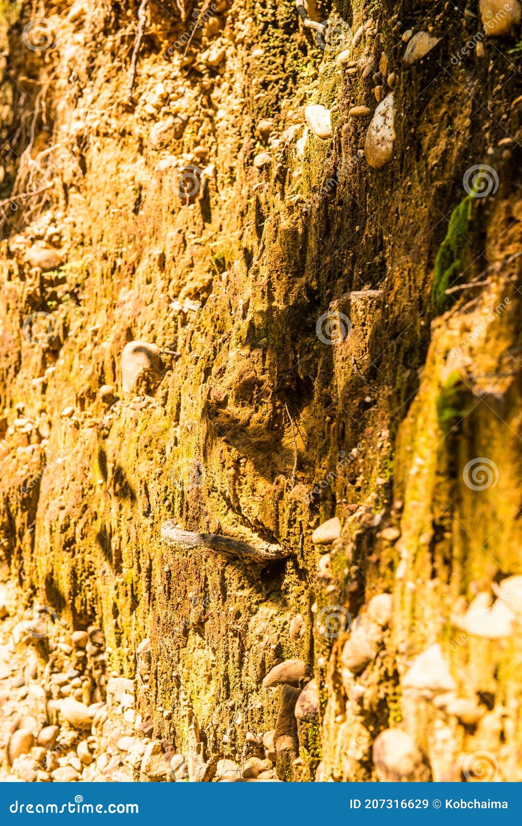 Background of soil layers stock image. Image of detail - 207316629