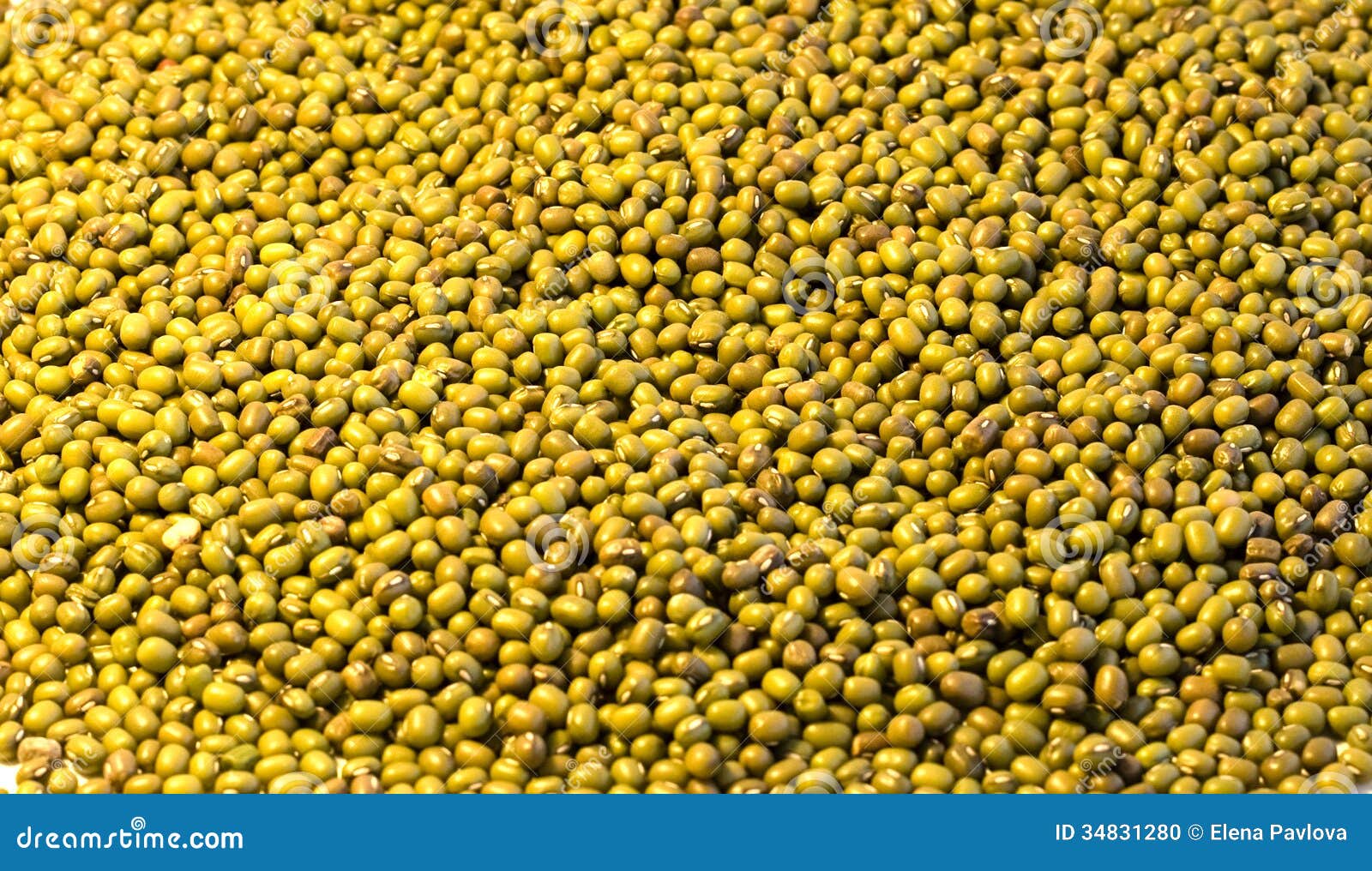Background of soya stock photo. Image of dried, legume - 34831280