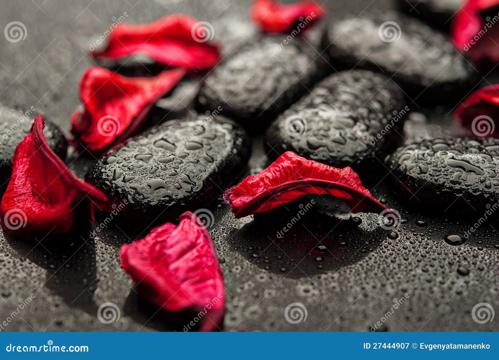 Background Spa. Black Stones and Red Petals Stock Image - Image of ...