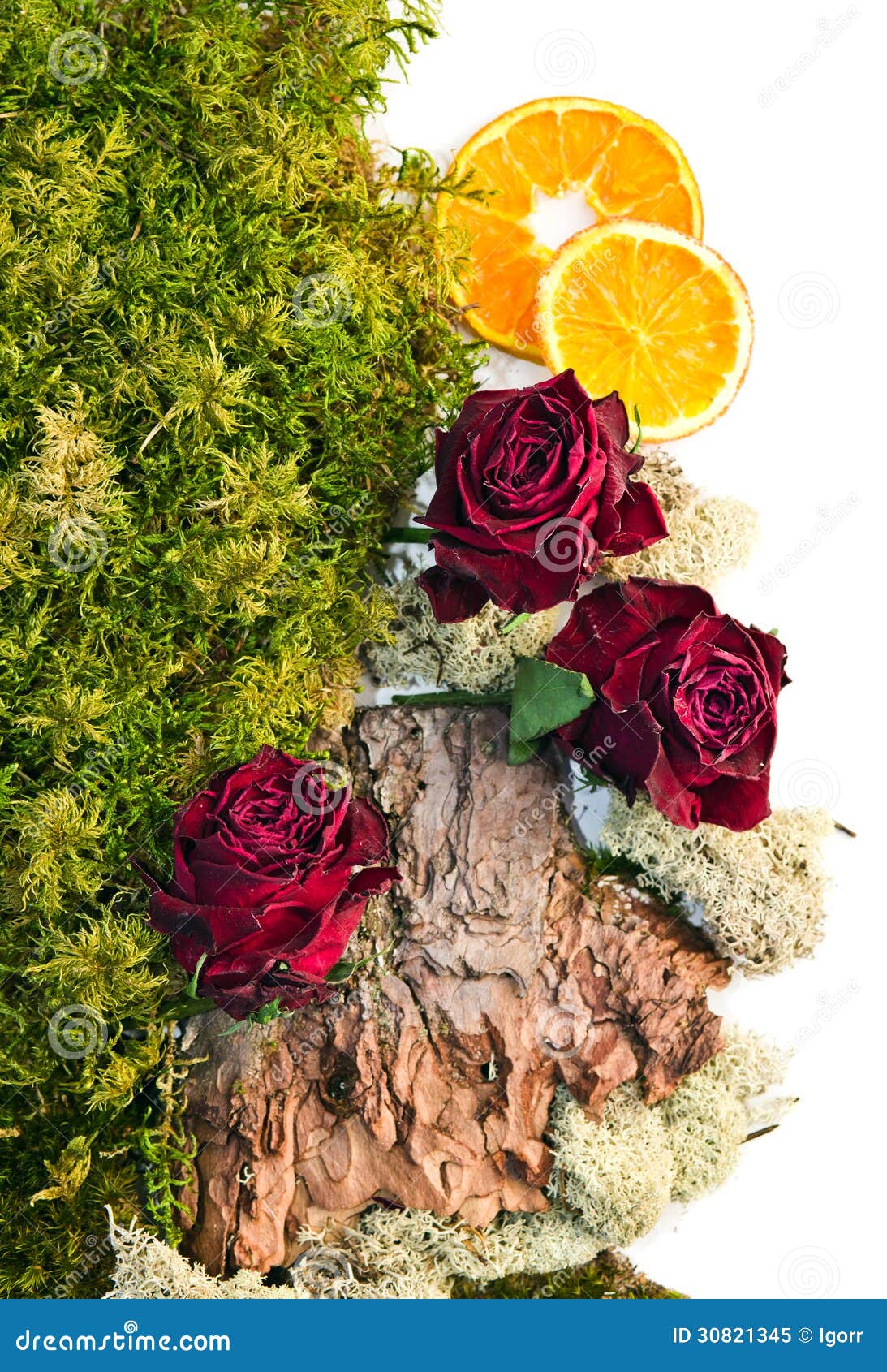 Background of a Spa with Dried Plants Stock Image - Image of pine ...