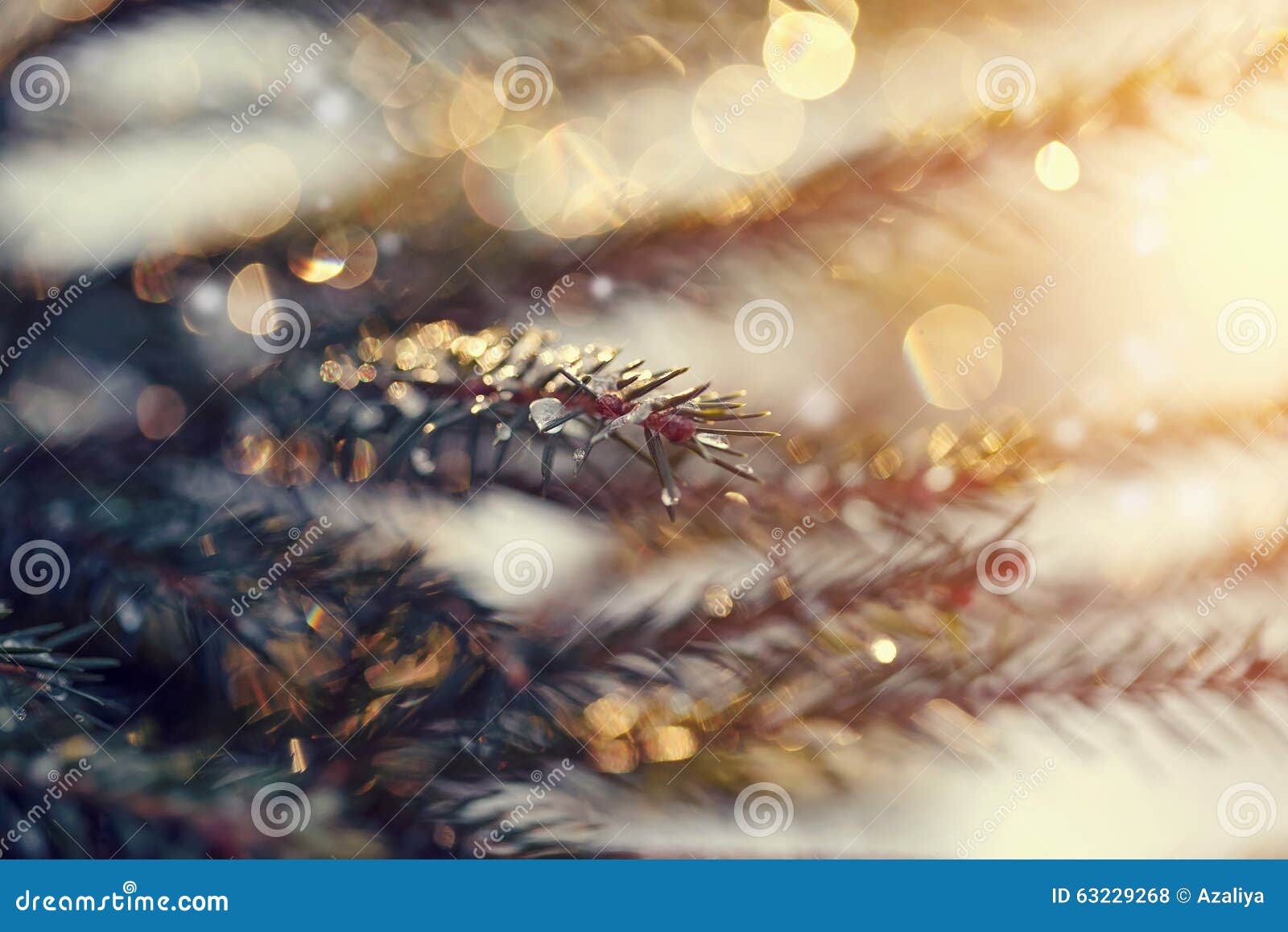 Background with the Sparkling Small Pieces of Ice on Fir-tree Branches ...