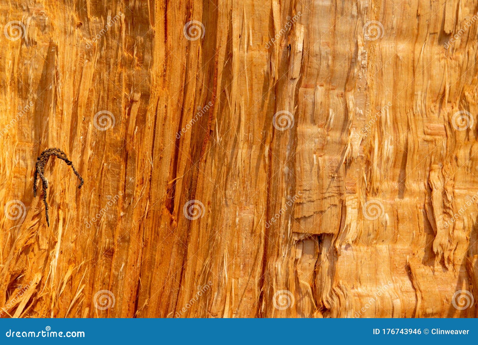 Background of Split Wood stock photo. Image of abstract - 176743946