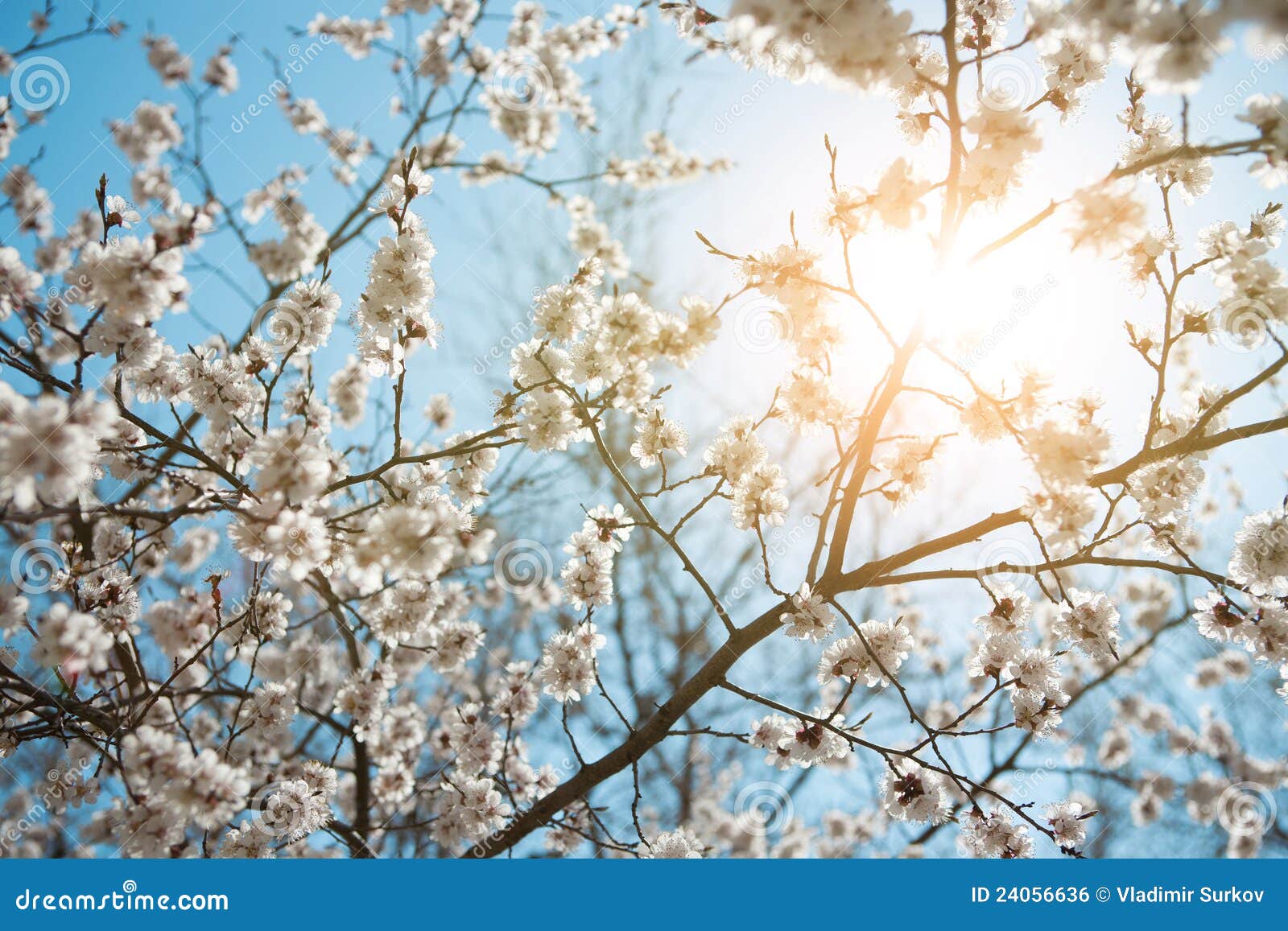 Background of spring sky stock photo. Image of horizontal - 24056636