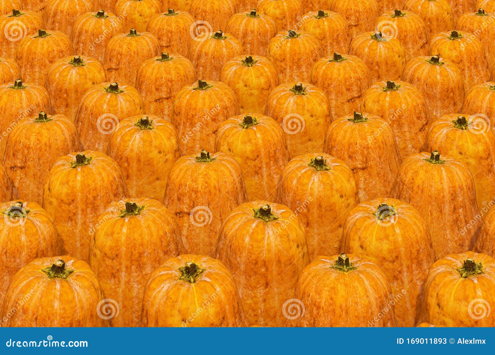 Background from Squashs with Realistic Texture, 3D Rendering Stock ...