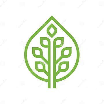 Tree Leaf Plant Drops Water Logo Design Inspiration Stock Vector ...