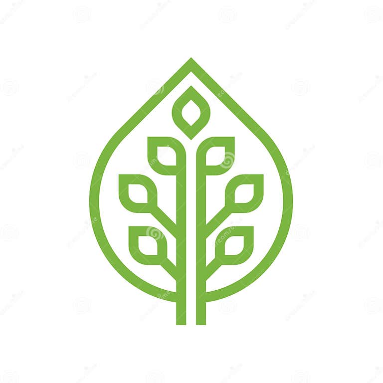 Tree Leaf Plant Drops Water Logo Design Inspiration Stock Vector ...
