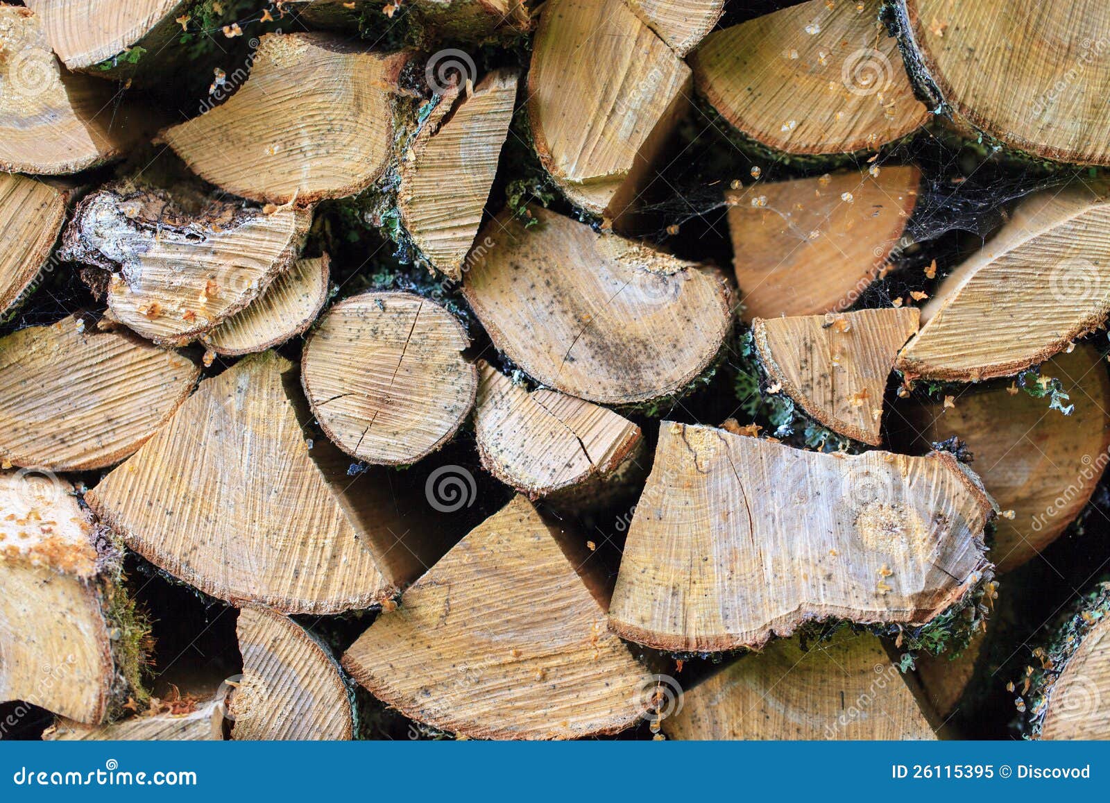 Background of Stacked Chopped Firewood Logs Stock Image - Image of ...