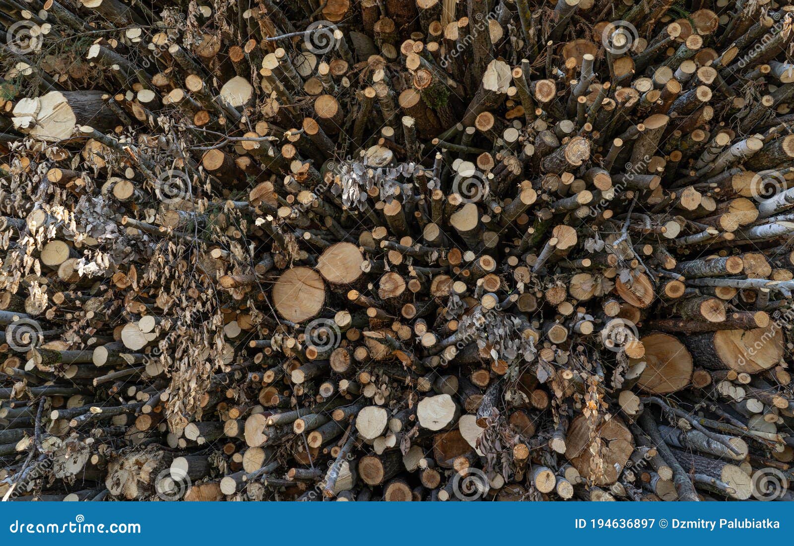 Stacked Tree Trunks Stock Photography | CartoonDealer.com #65662898