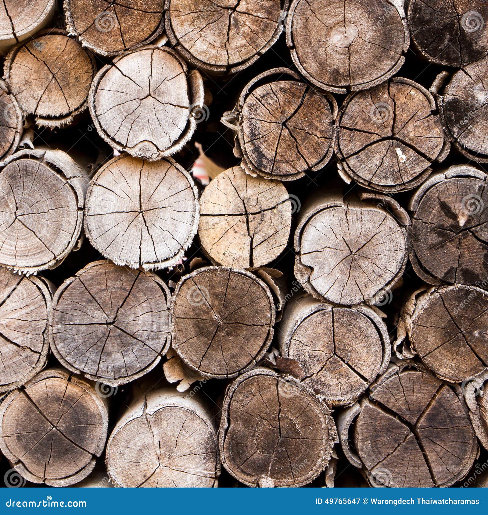 Background of Stacked Timber Logs Stock Image - Image of pattern, pine ...