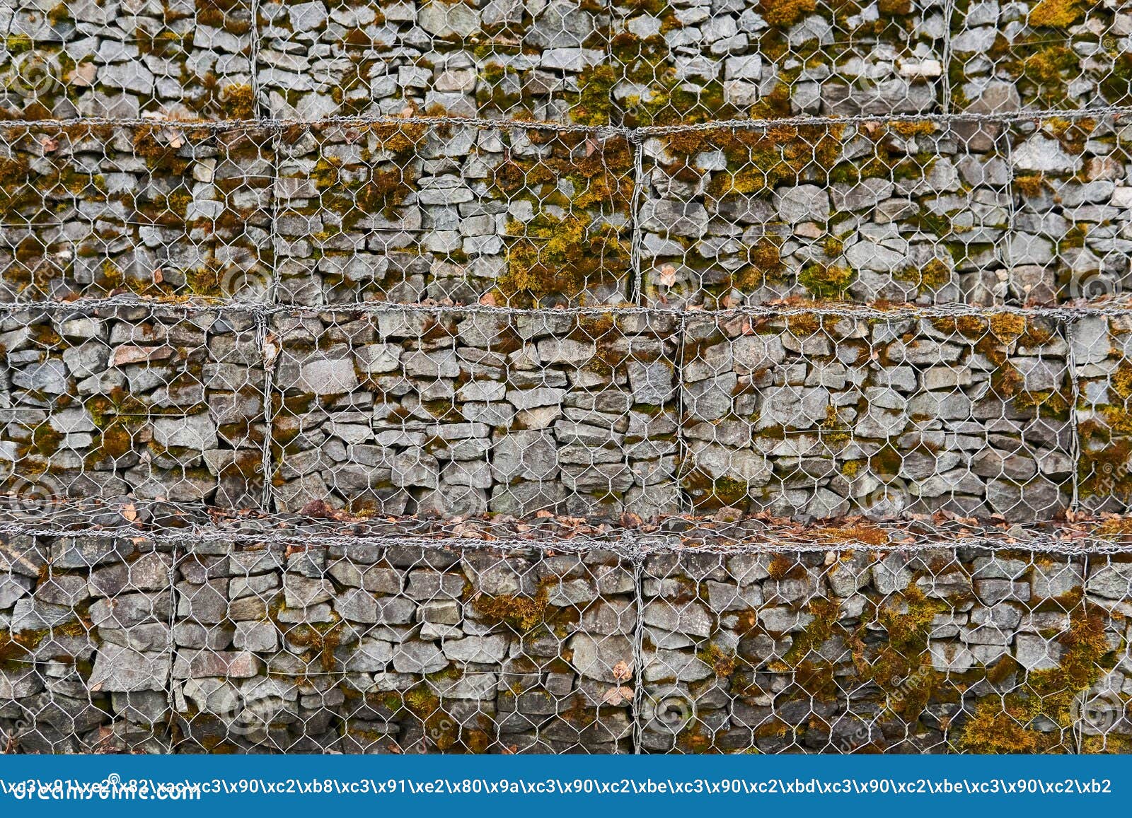 Hexagonal Wire Mesh Stock Photo | CartoonDealer.com #42170982