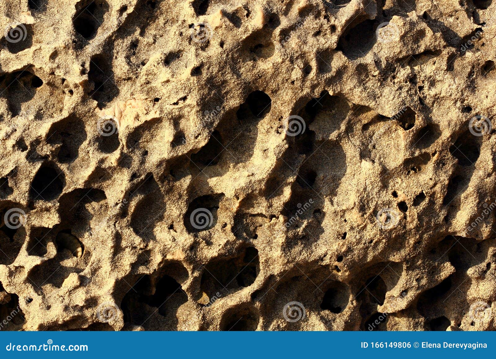 Background Stone Surface Brown Porous with Holes Shell Rock Macro. Full ...