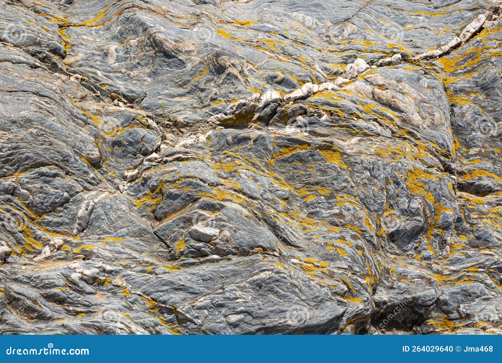 Background of a Stone Surface with Yellow Crustose Lichen Stock Photo ...