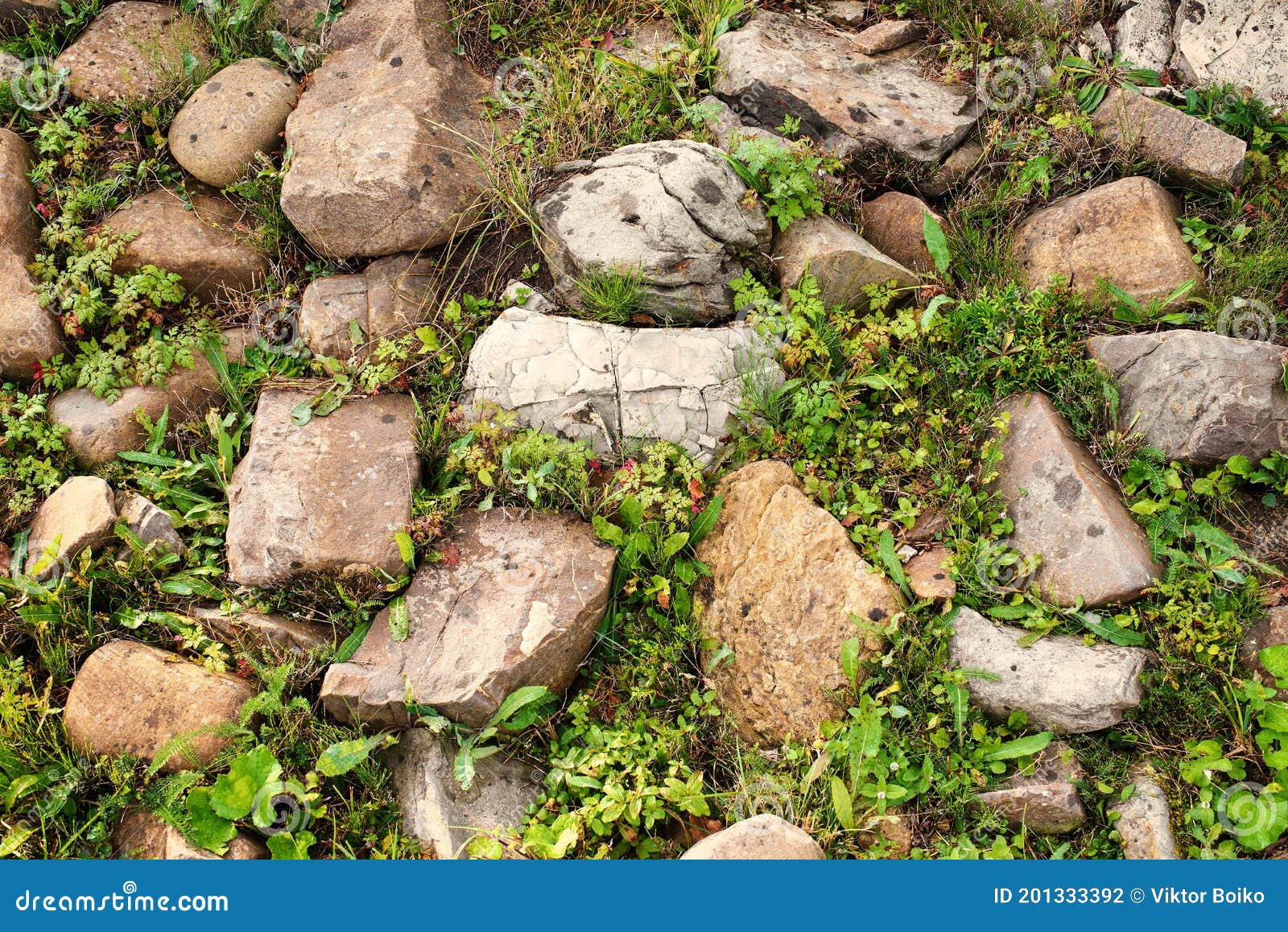 Background from Stones and Grass from Top View Stock Photo - Image of ...