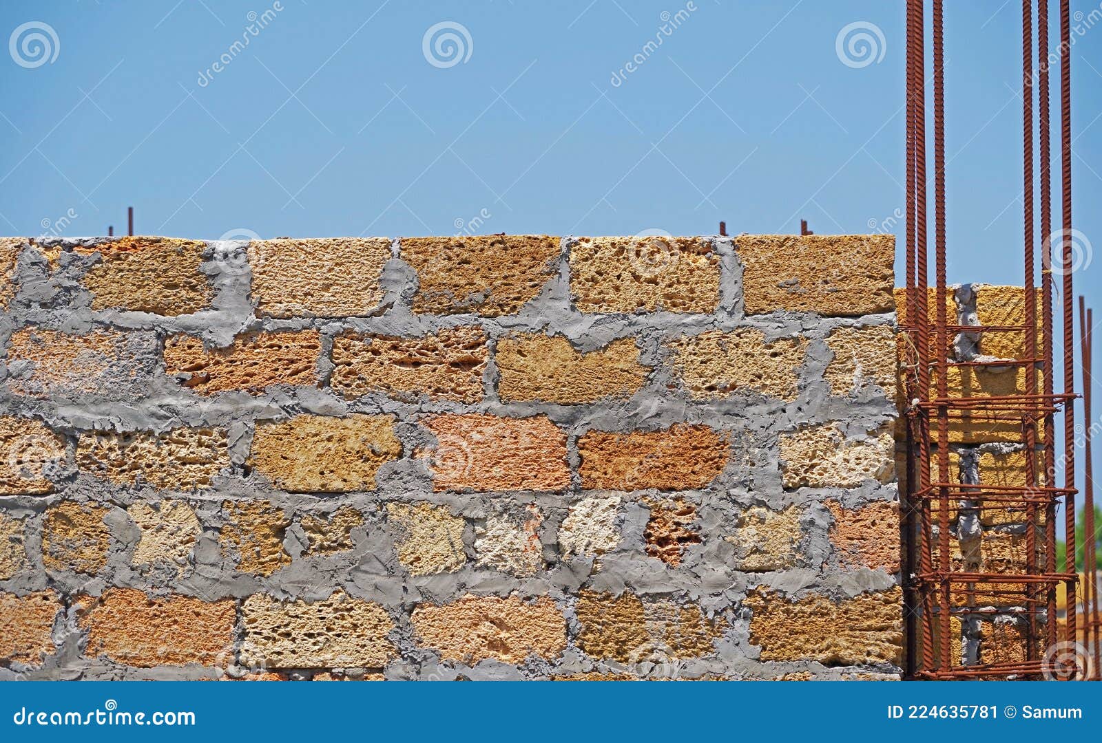 Background with Stones from Shell Rock Material Stock Image - Image of ...