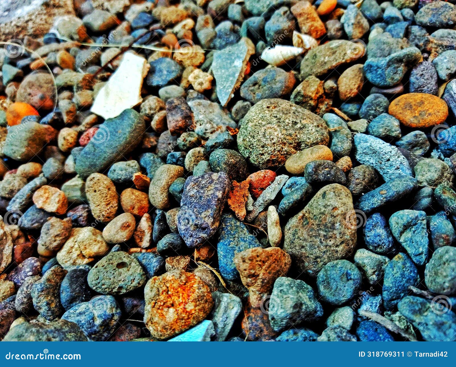 Background of Stones and Shells Close Together Stock Image - Image of ...