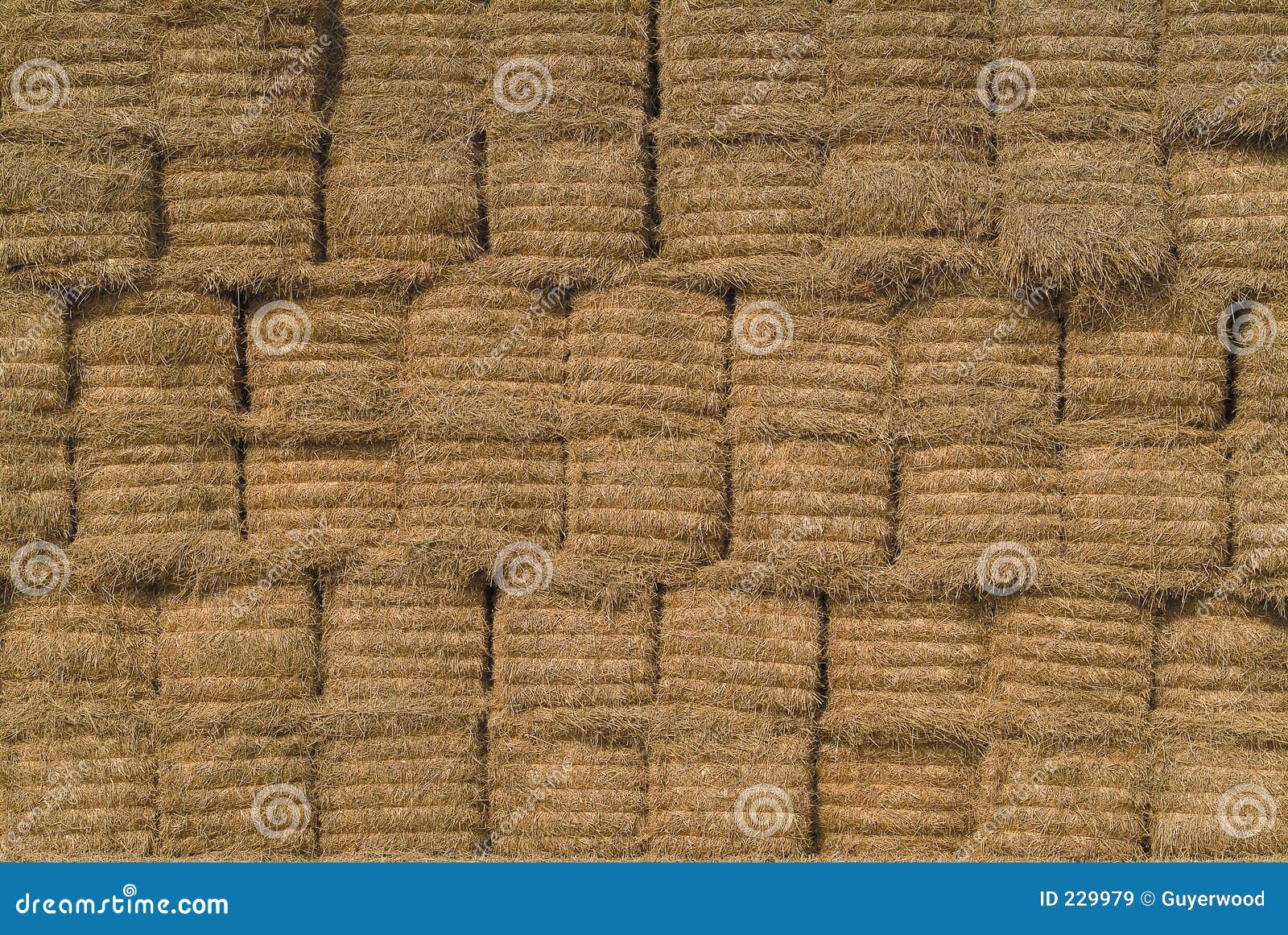 Background of straw bales stock image. Image of countryside - 229979