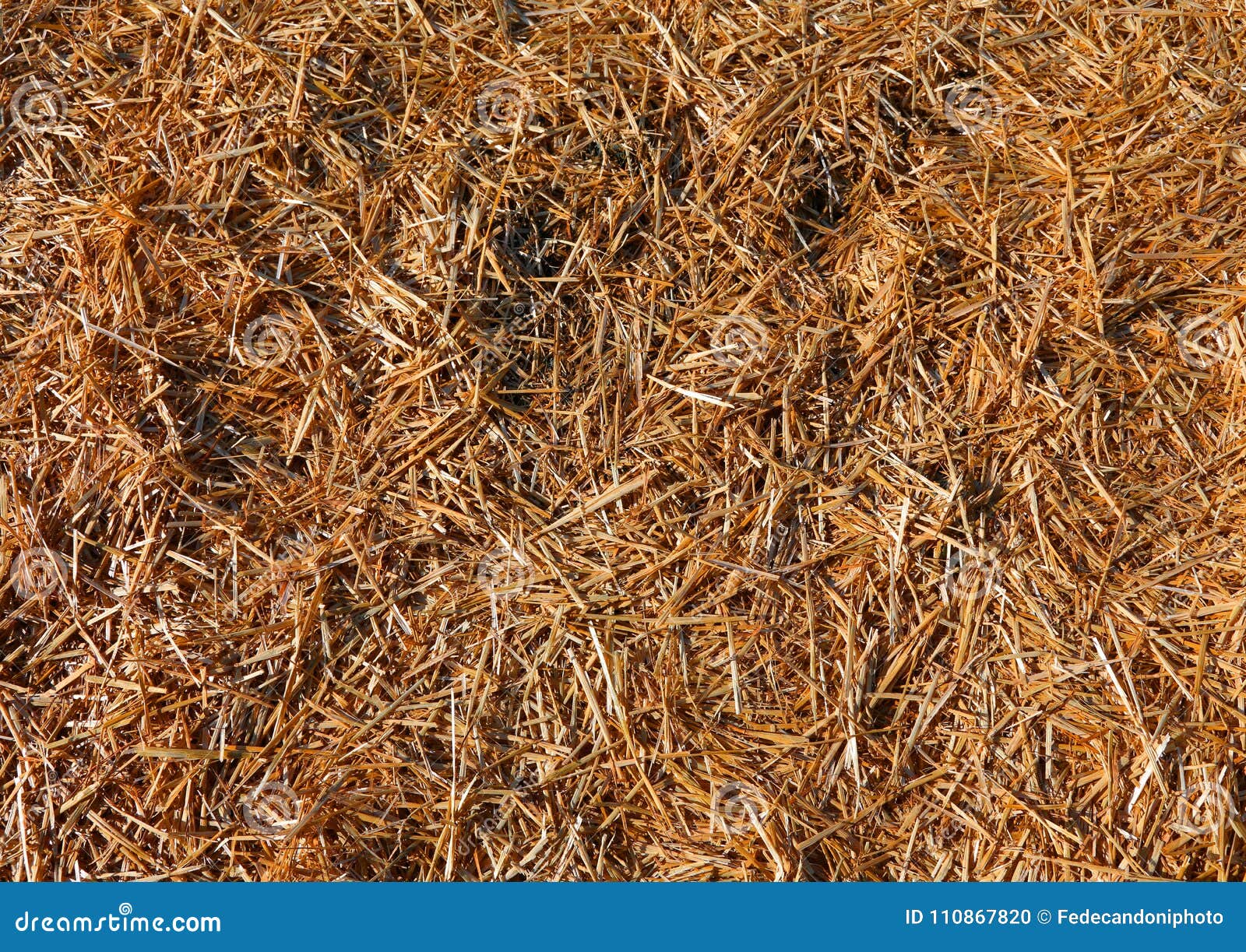 Background of Straw and Dry Hay Stock Photo - Image of barley, farming ...