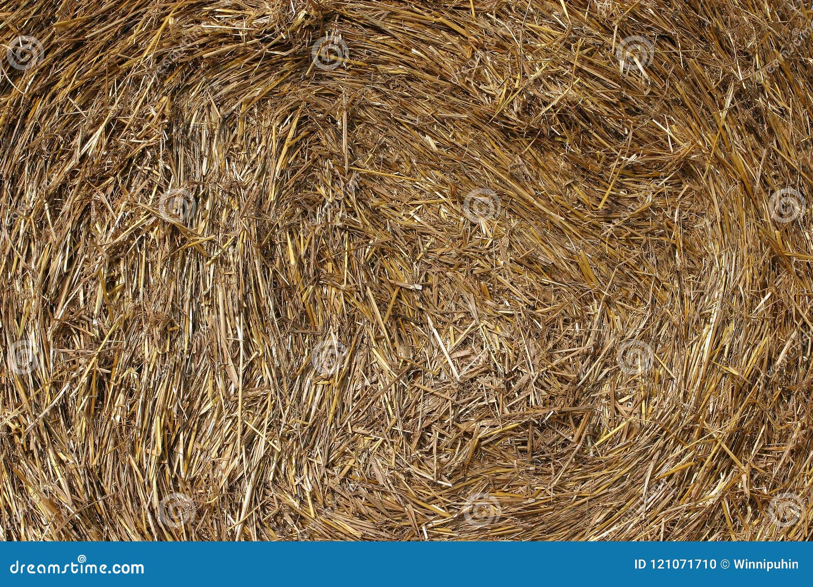 Background Straw, Dry Straw, Straw Background Texture, Abstract Natural ...