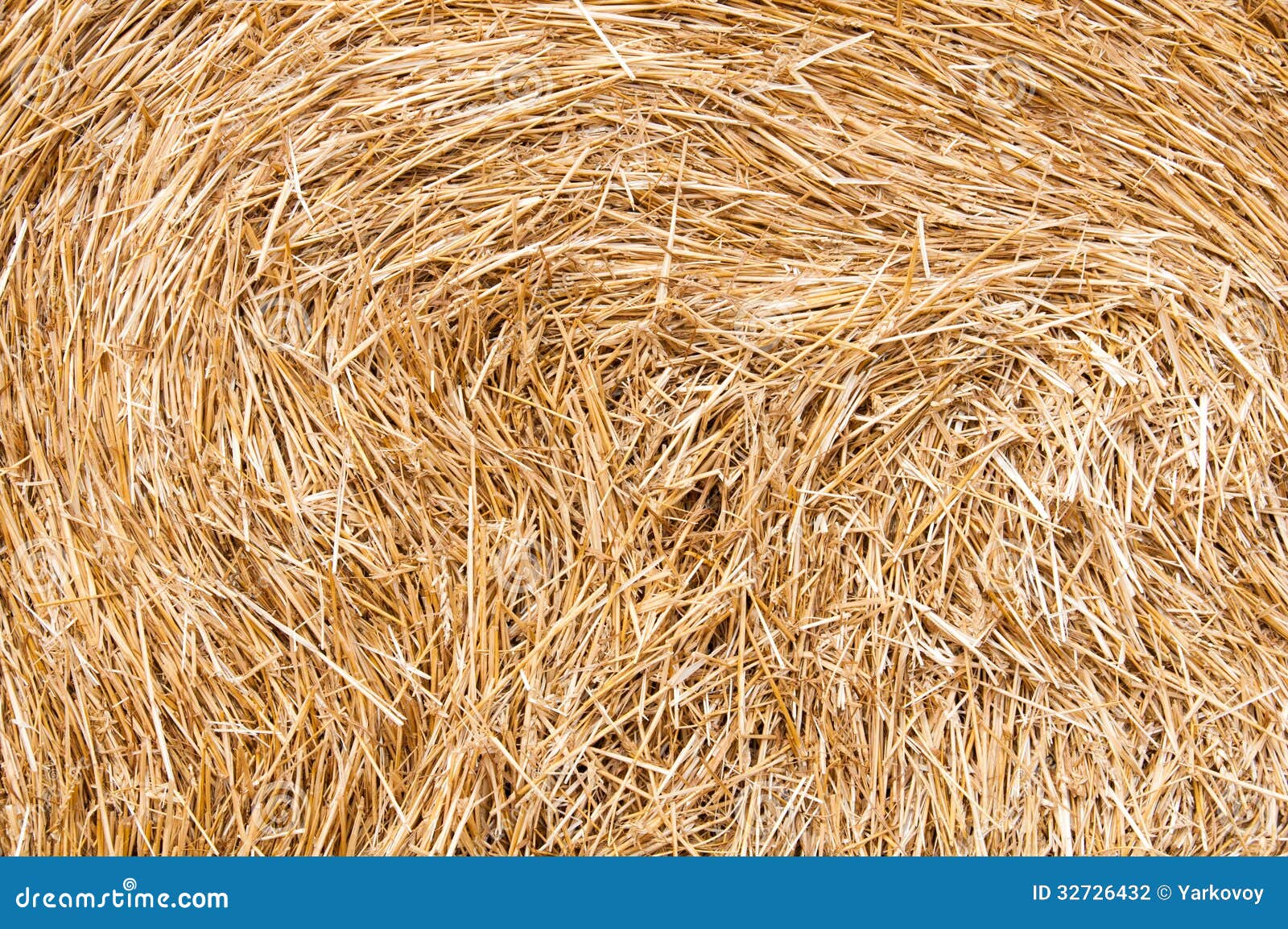Background of Straw on the Field after Harvest. Stock Photo - Image of ...