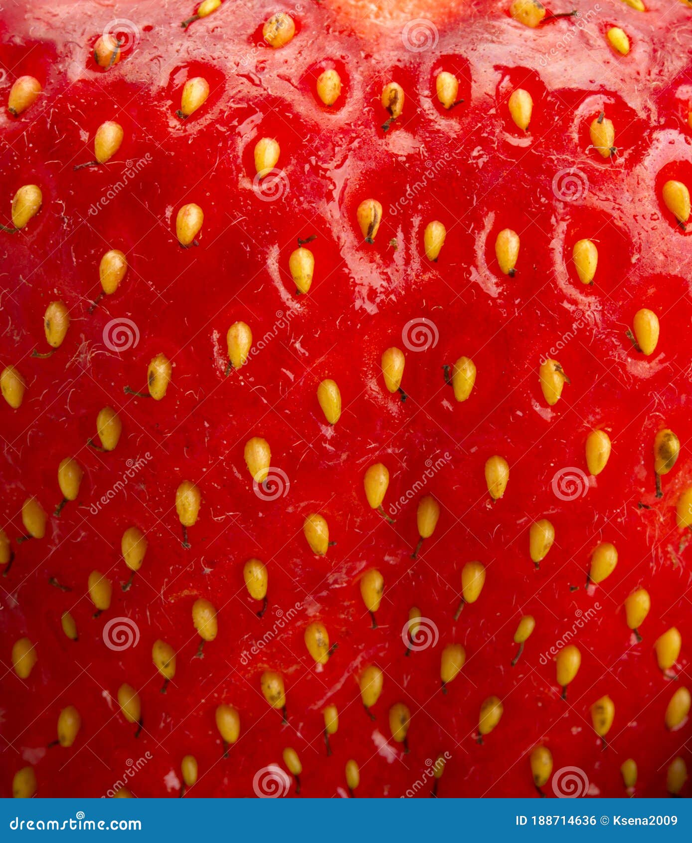 Background of Strawberry Texture Closeup Stock Photo - Image of natural ...