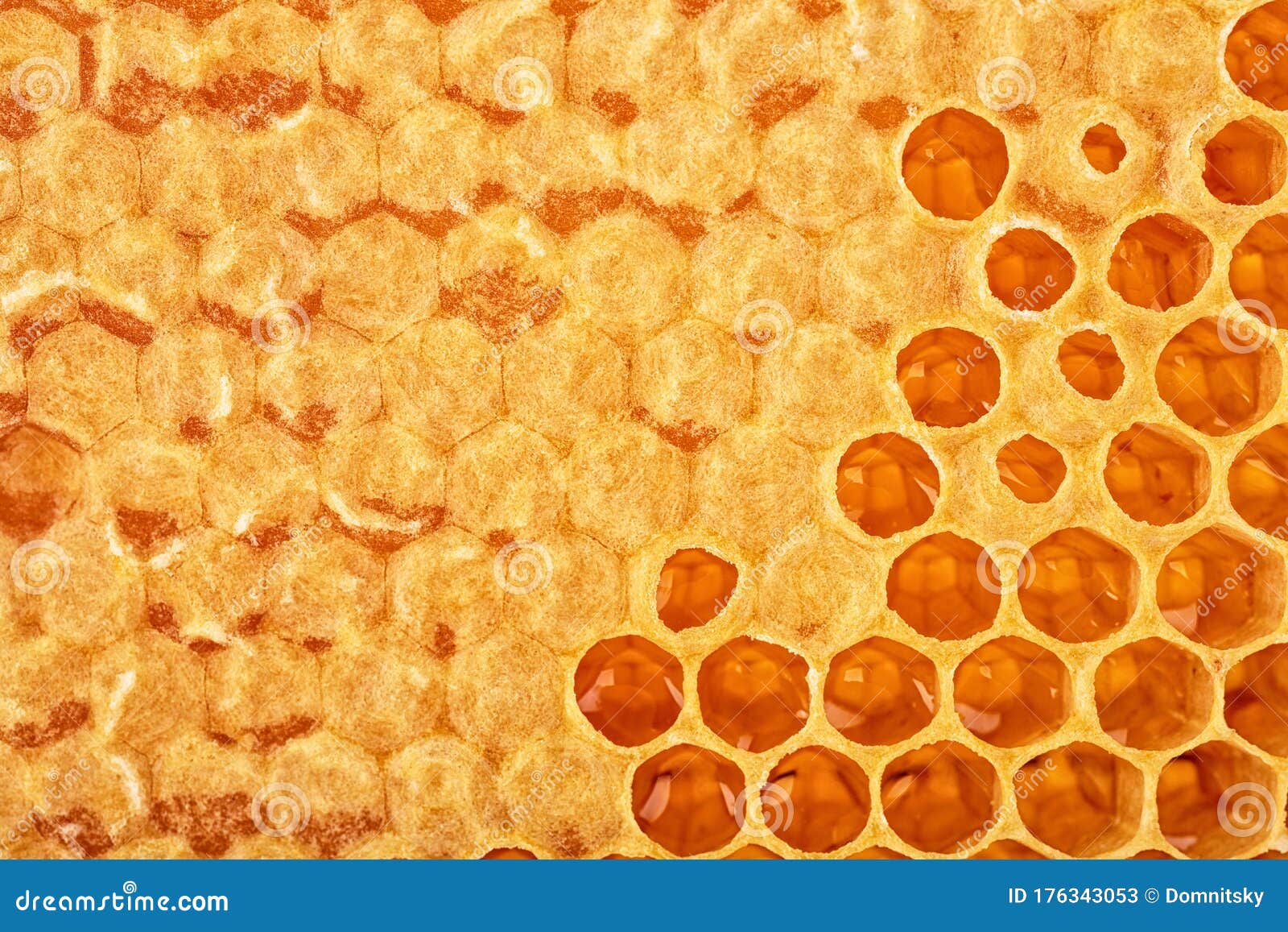 Background Structure of Bee Honeycombs Stock Image - Image of nature ...