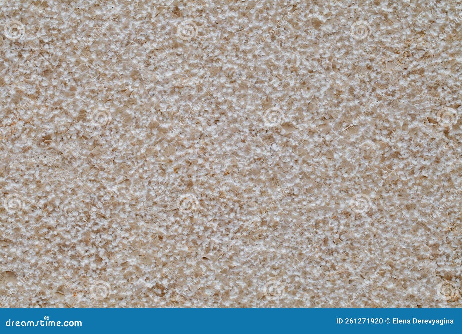 Background, Structure of Stone from Sedimentary Beige Rocks Shell Rock ...