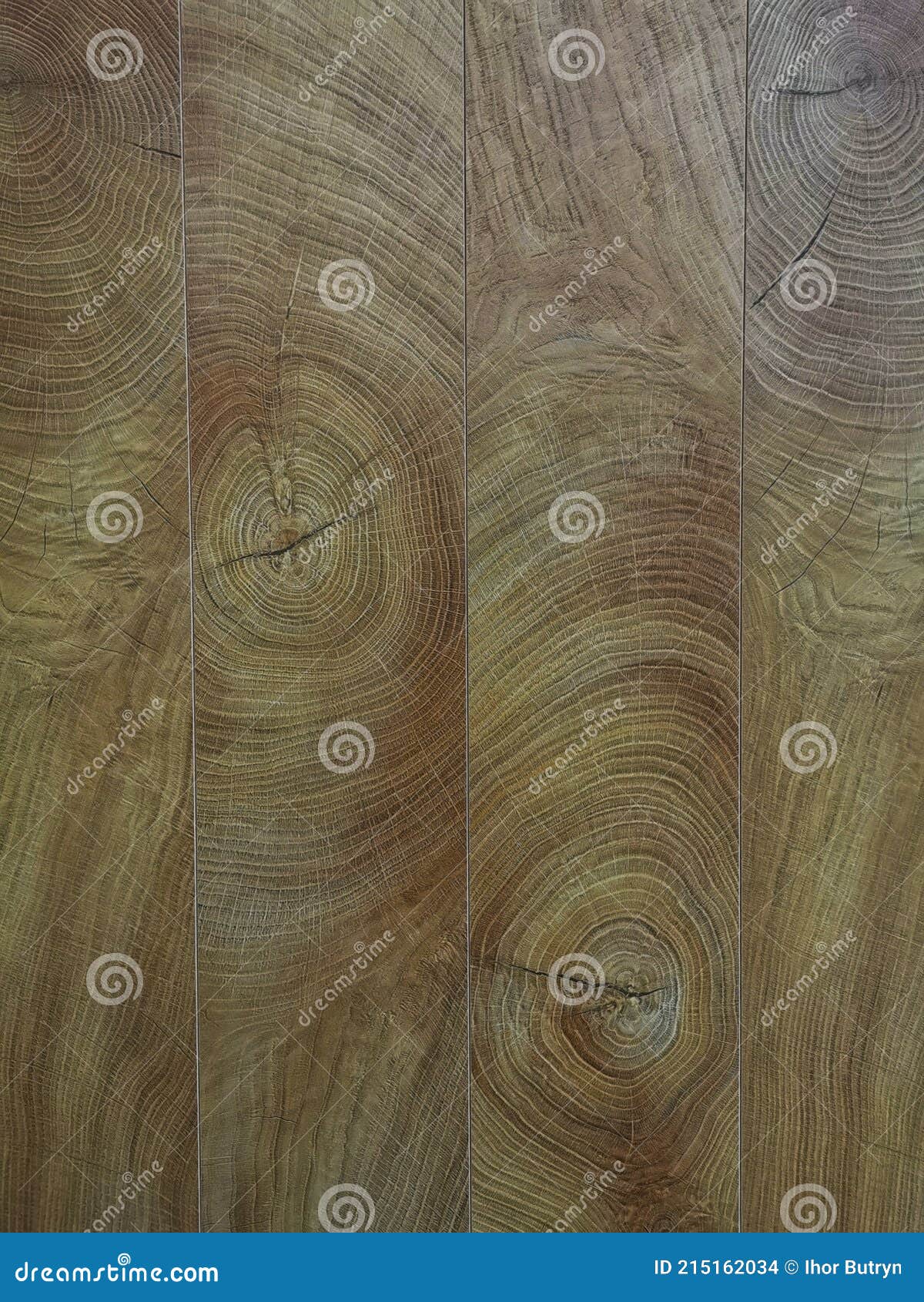 The Background with the Structure of the Tree Belongs To the Breed of ...