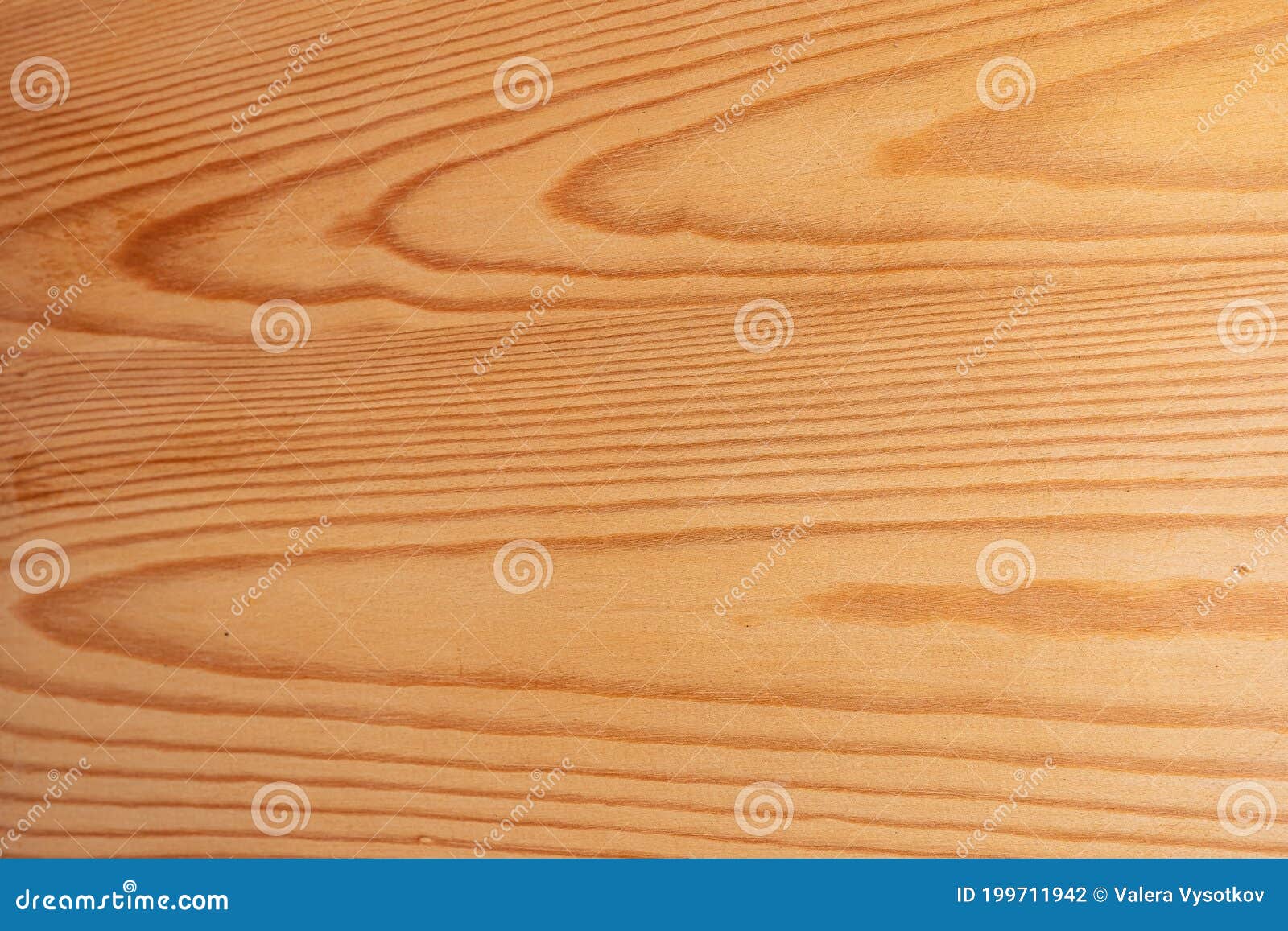 BACKGROUND the STRUCTURE of the TREE Stock Photo - Image of flowers ...