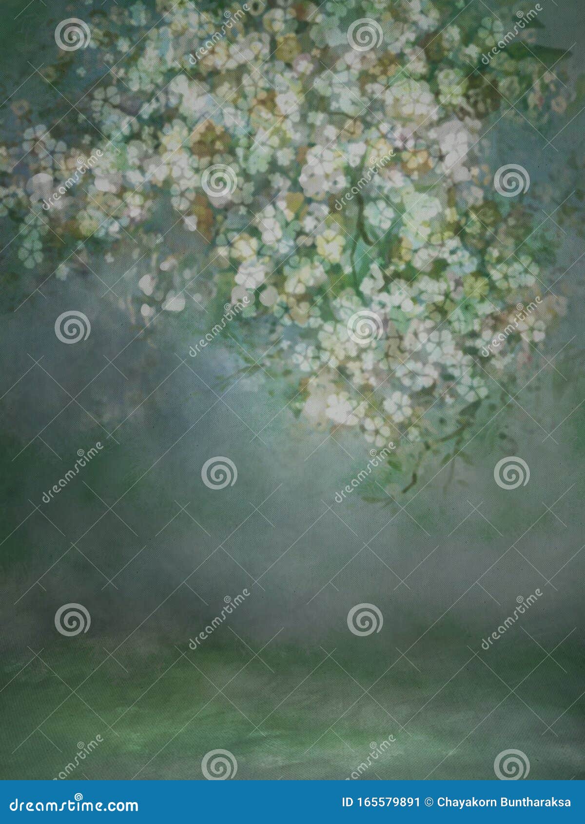 Studio Portrait Backdrops Lights with Effect Background Stock Image ...