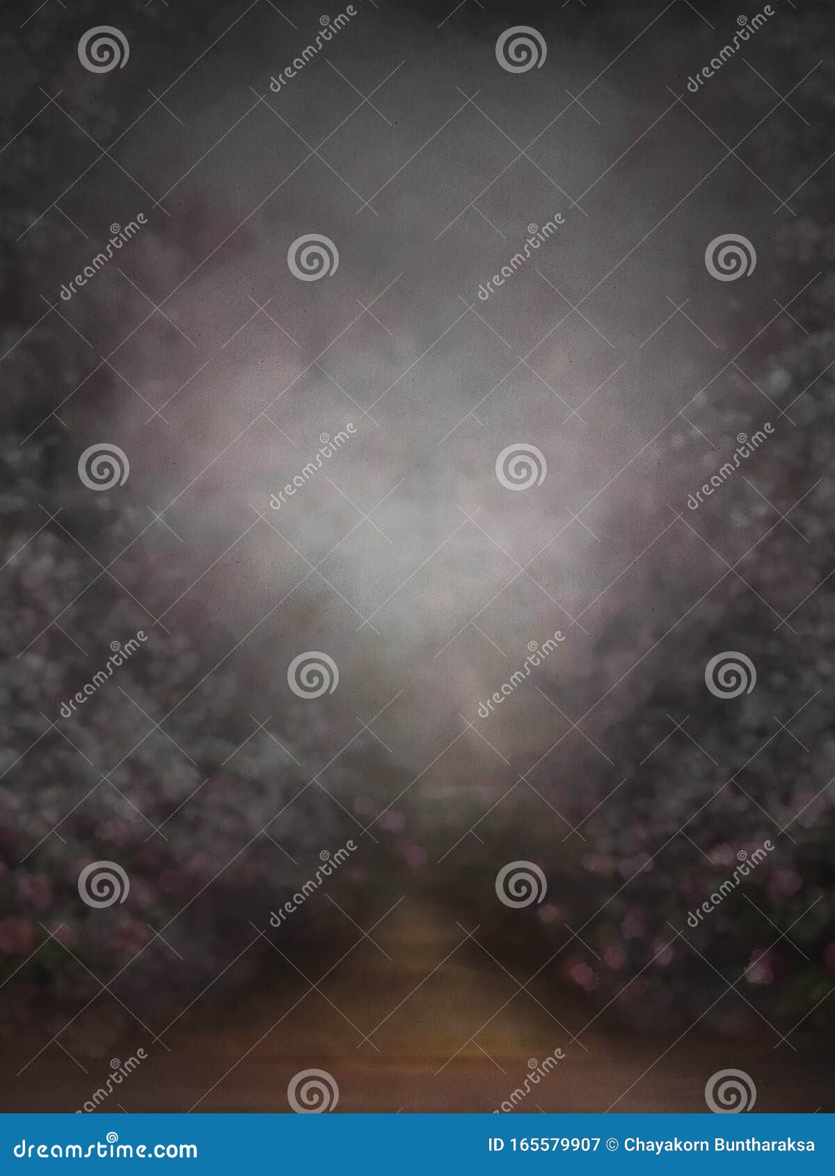 Studio Portrait Backdrops Lights with Effect Background Stock Image ...