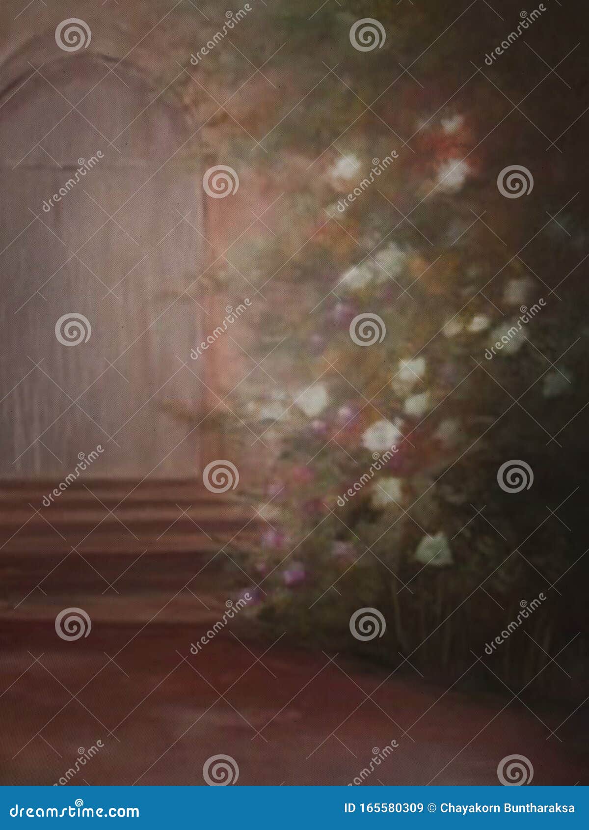 Studio Portrait Backdrops Lights with Effect Background Stock Image ...