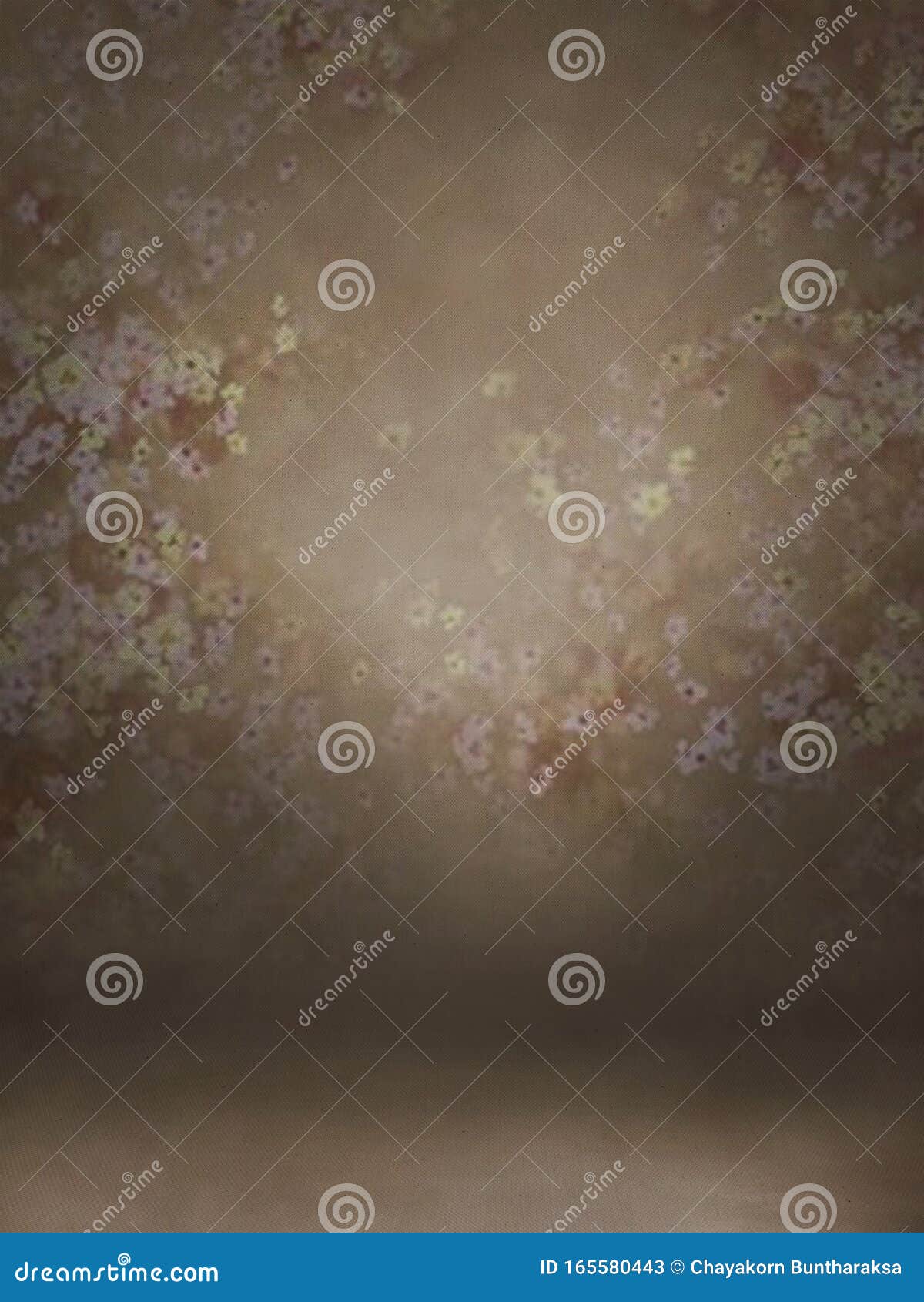 Studio Portrait Backdrops Lights with Effect Background Stock Image ...