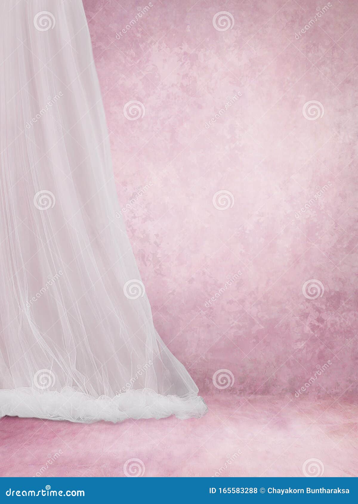 Studio Portrait Backdrops Background Stock Photo - Image of digital ...