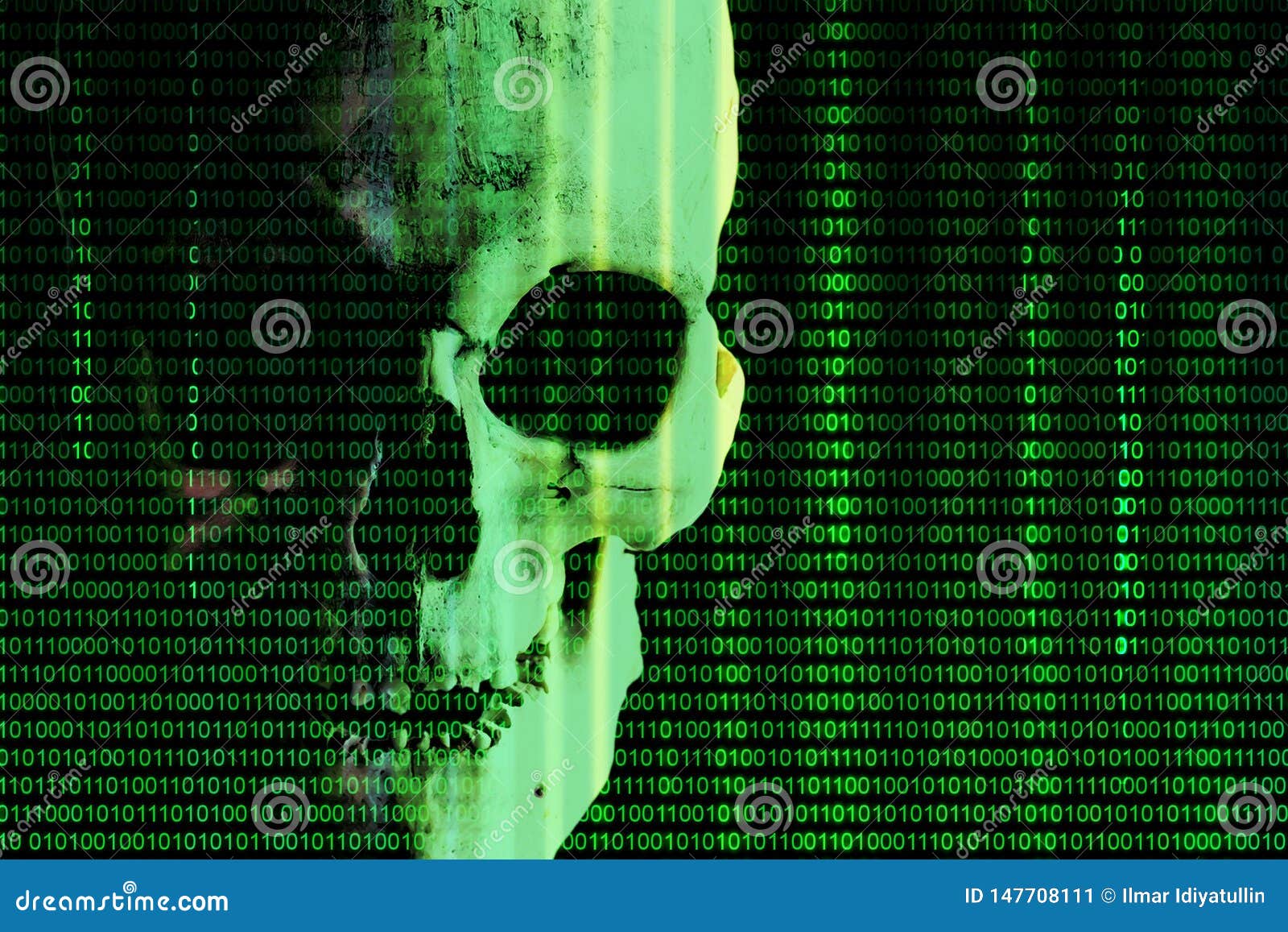 Skull in a digital matrix stock image. Image of hacker - 147708111