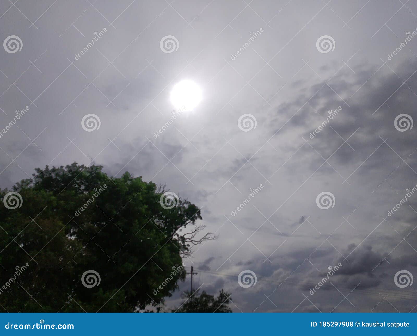 Background with Sun , Clouds and Tree Stock Photo - Image of cloud ...