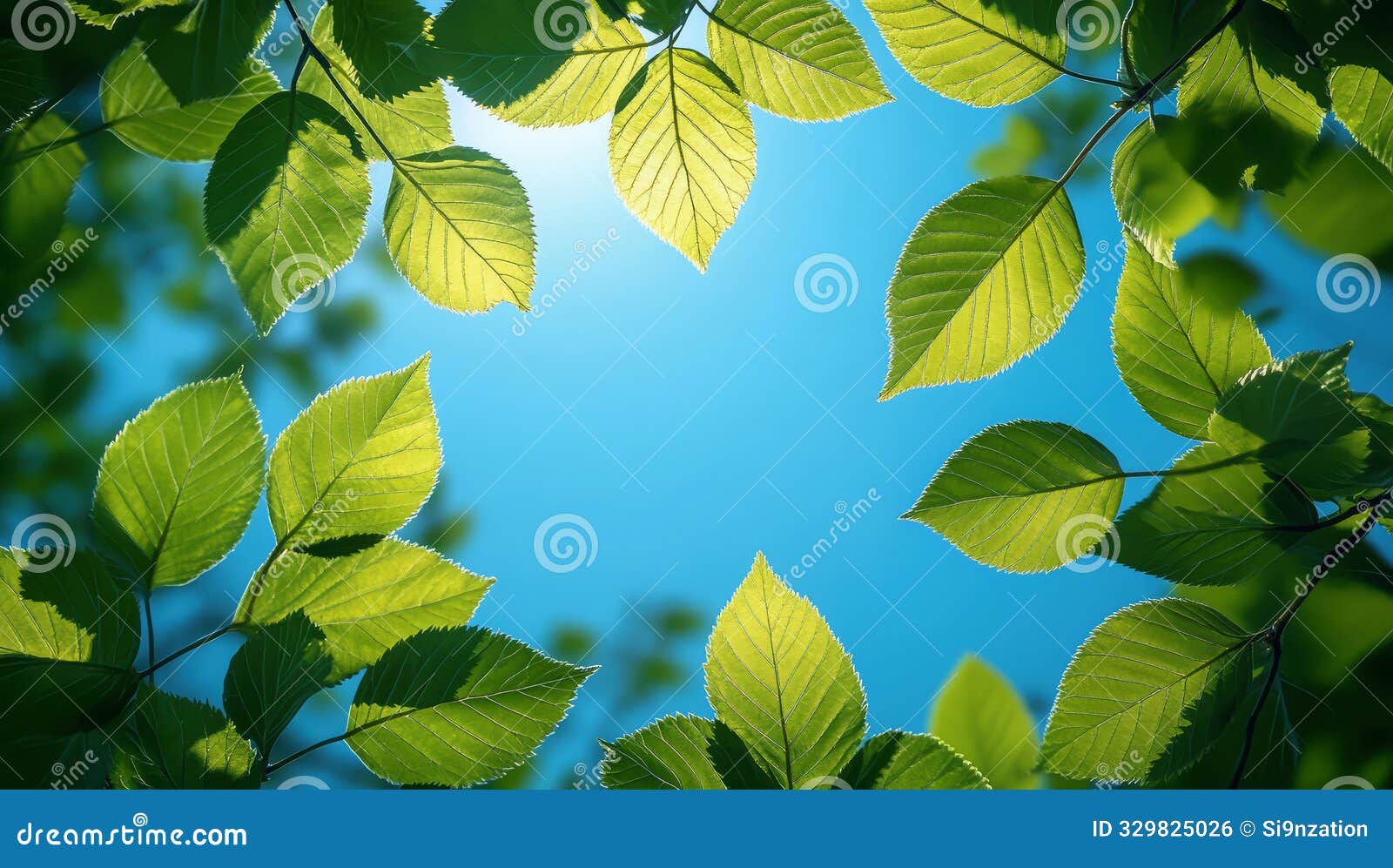 A Background of Sun Rays Coming through the Leaves and Branches of a ...